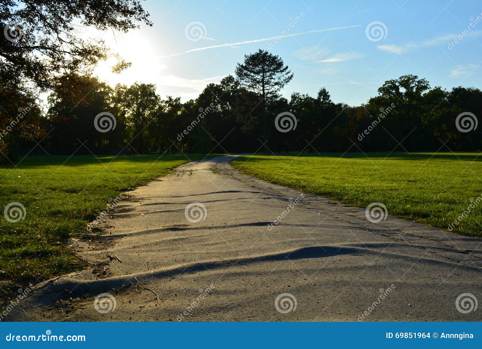 Crooked path stock photo. Image of trees, city, park - 69851964
