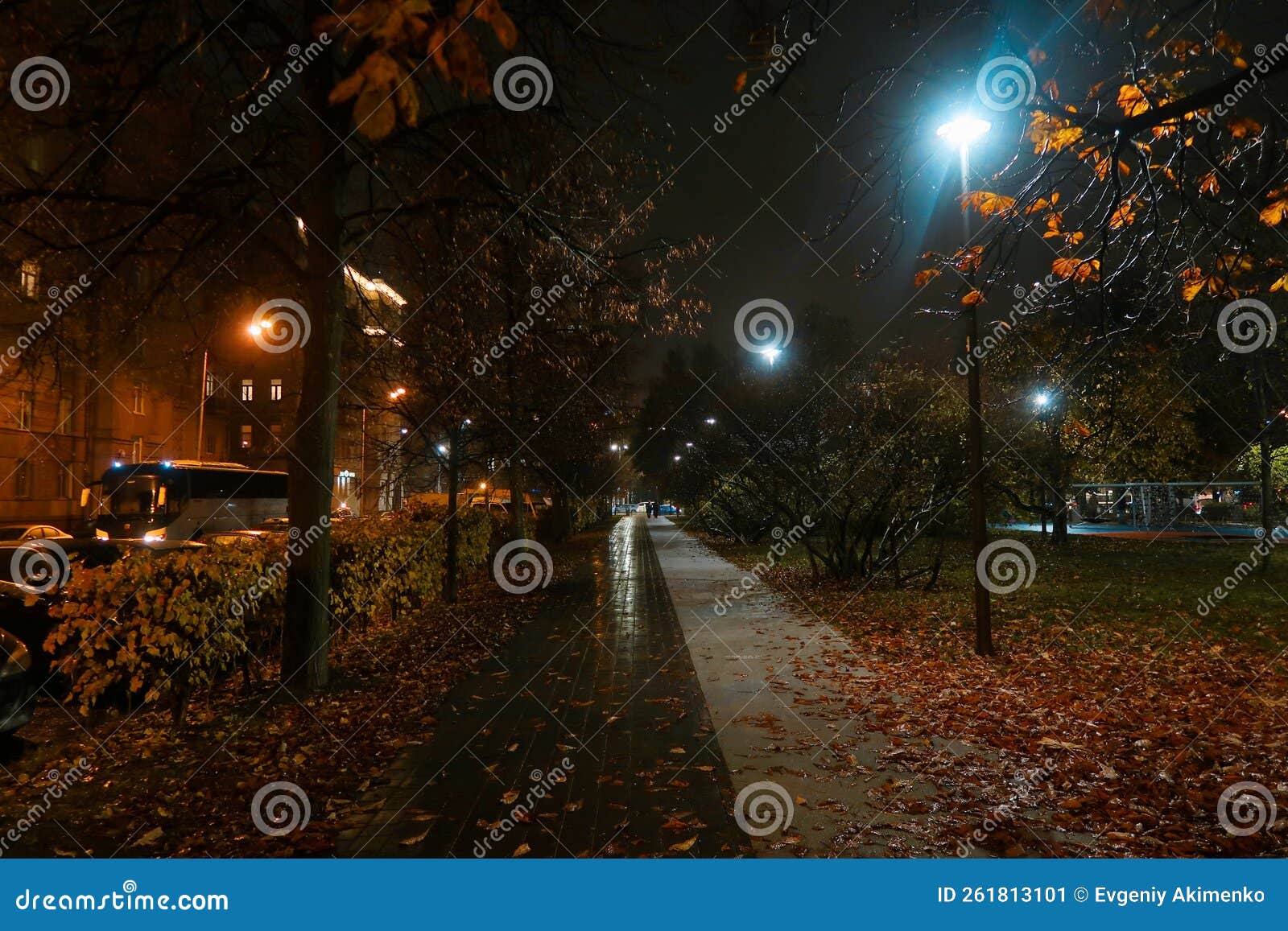 City Park after Rain at Night Editorial Photo - Image of city, sunlight ...