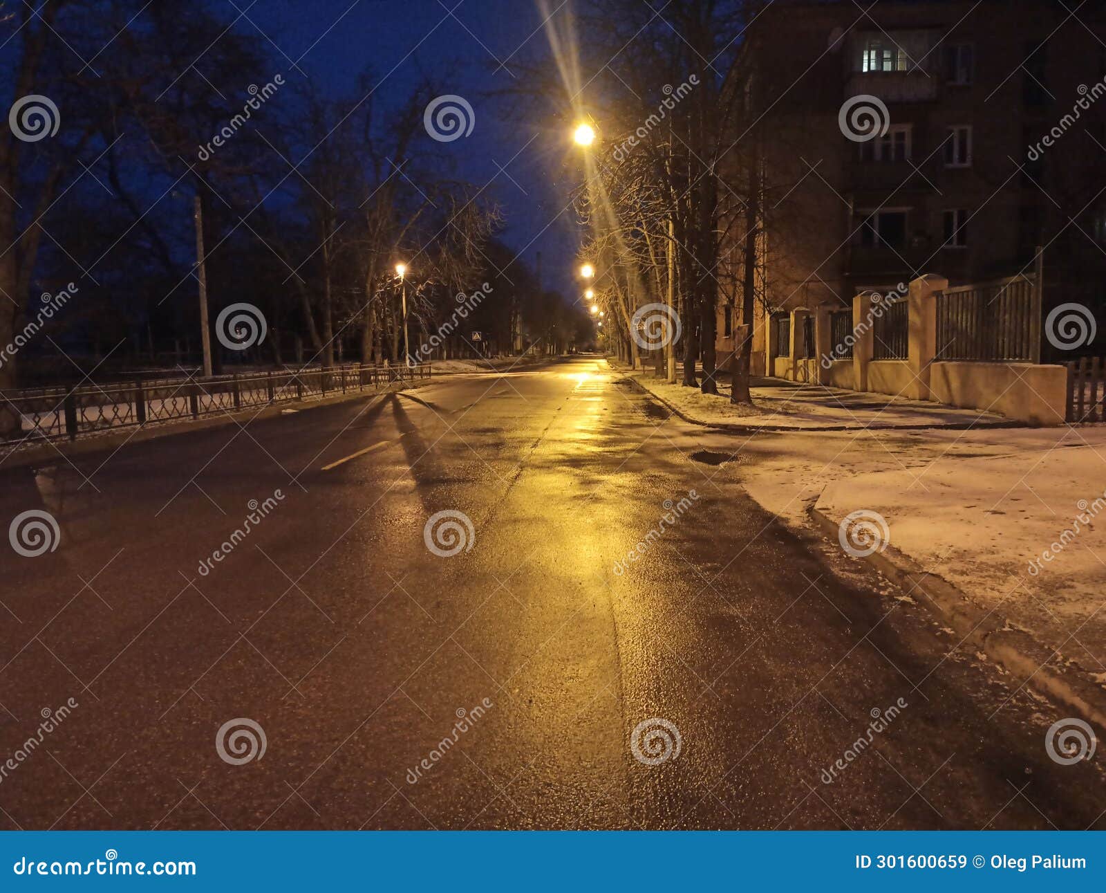 City Park Shot at Night - Close-up Stock Image - Image of beautiful ...