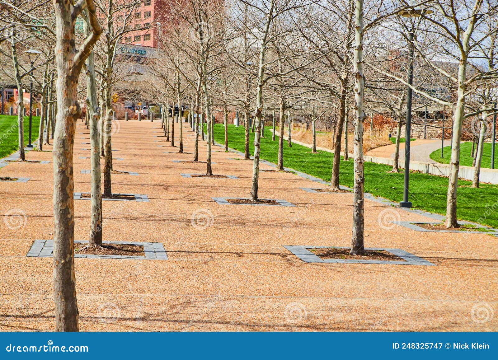 City Park Walking Path Filled with Spring Trees Stock Image - Image of ...