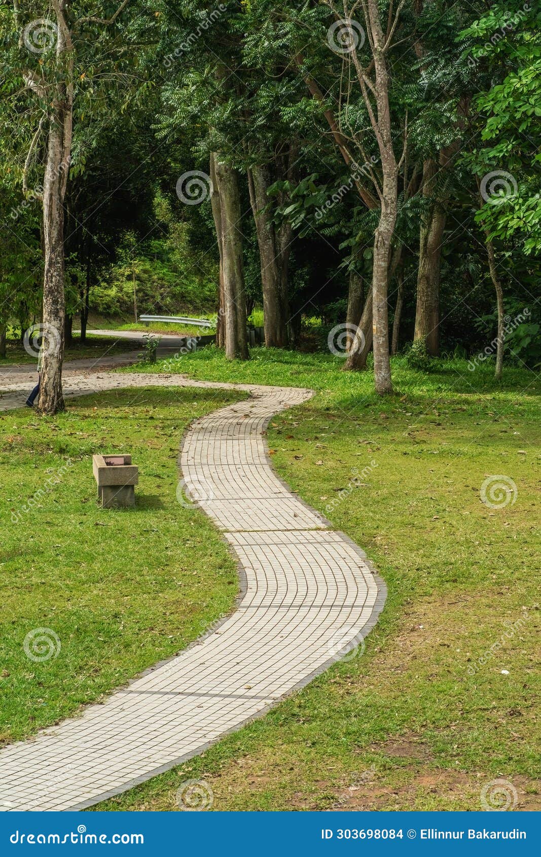 A City Park with Walking Path and Green Zone Trees on a Sunny Day Stock ...