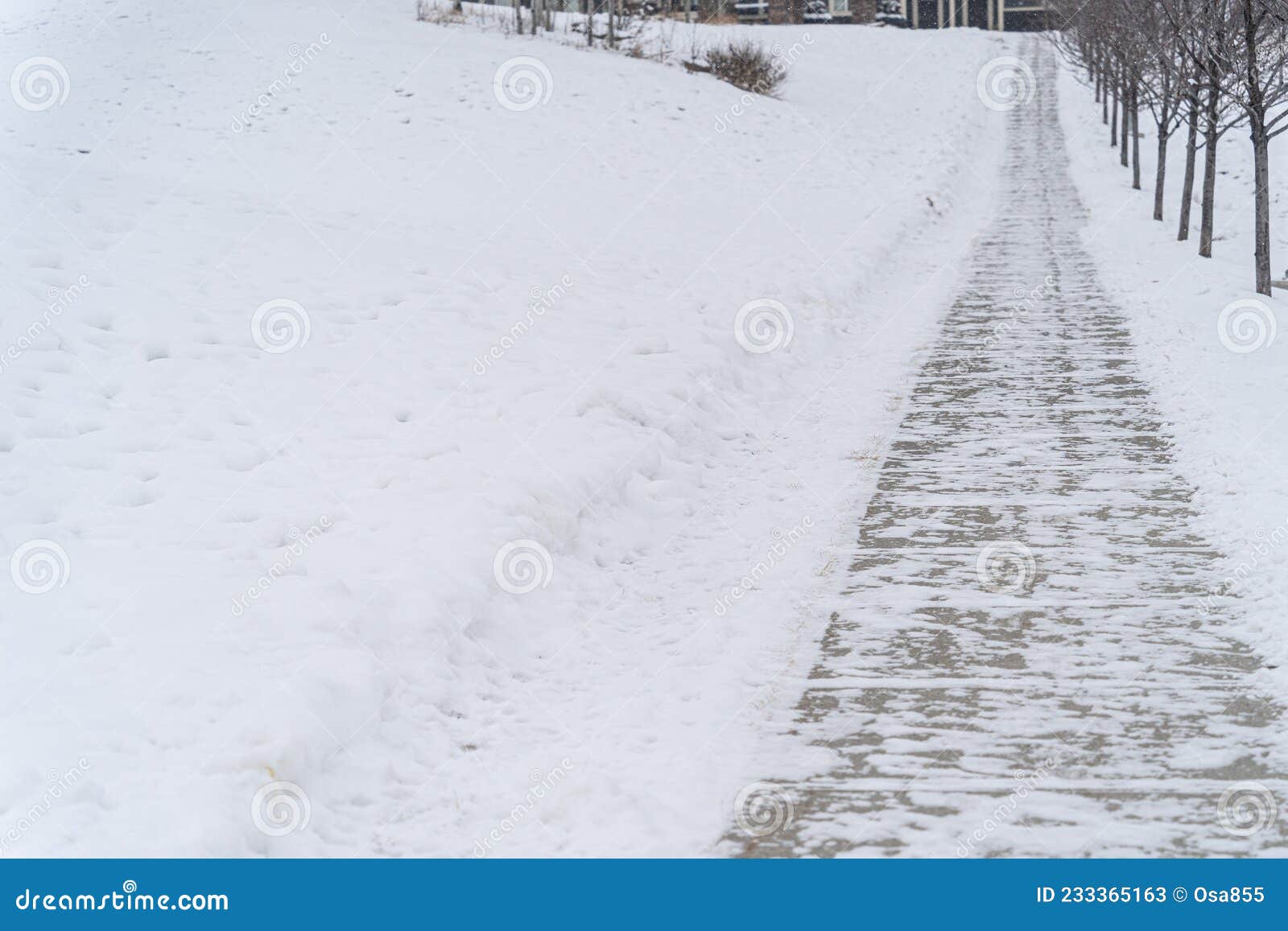 City Pavement Sidewalk Cleared of Snow in Winter Stock Image - Image of ...