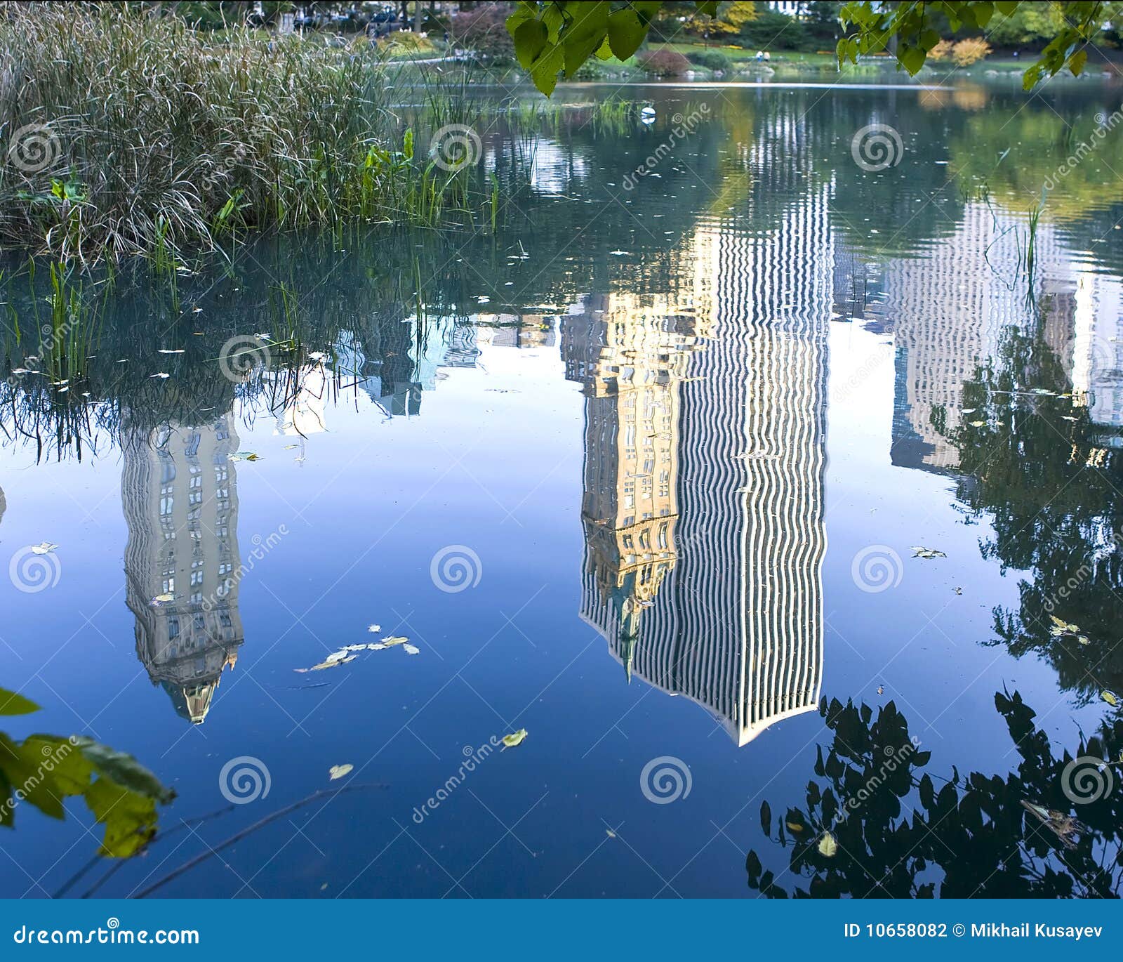 City in reflection. stock photo. Image of green, skyline - 10658082