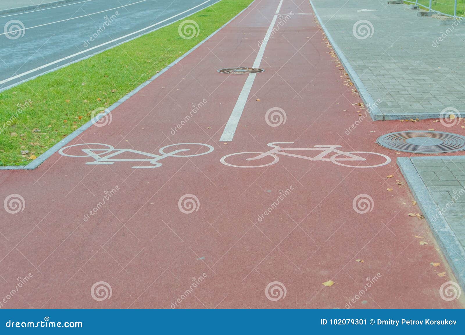 A Separate Bike Path in the City Stock Image - Image of outdoor, cycle ...