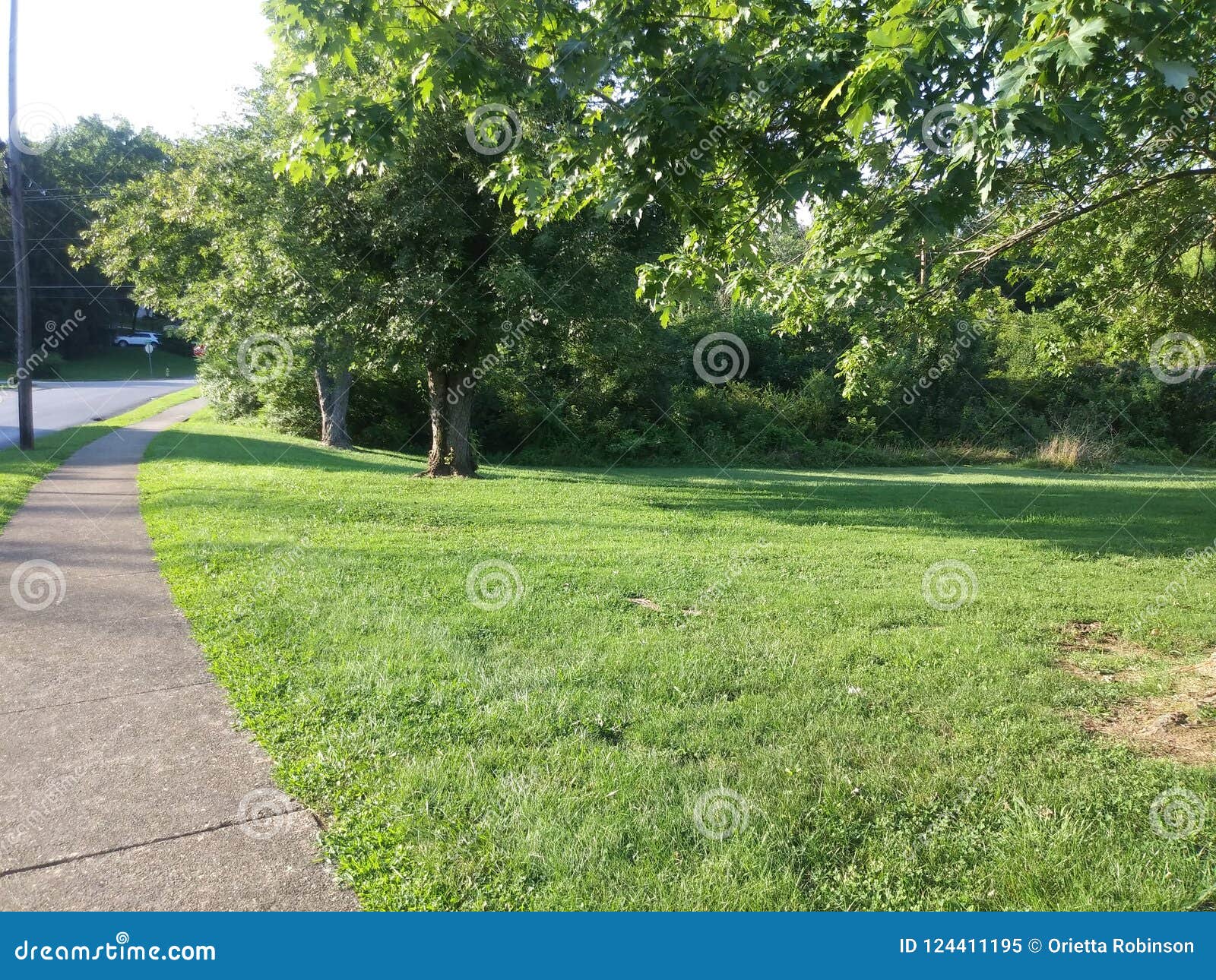 Green Space & Sidewalk stock image. Image of nature - 124411195