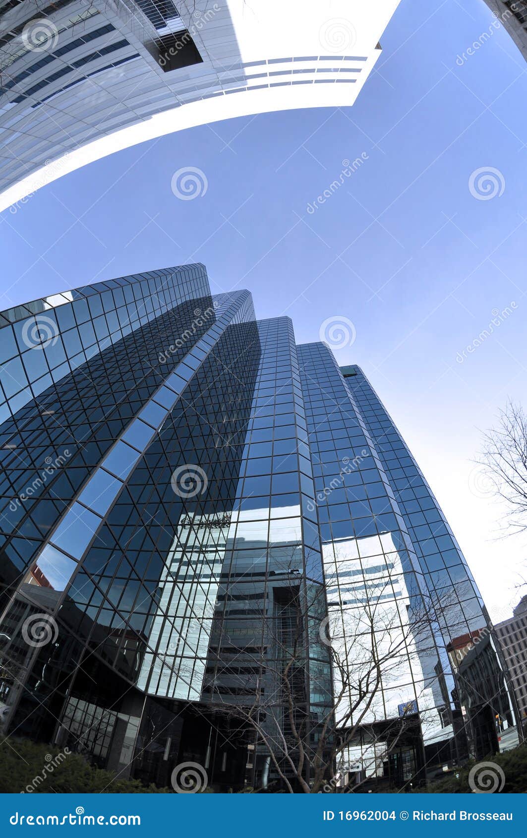 City Skyscraper Fisheye View Stock Photo - Image of exterior, office ...