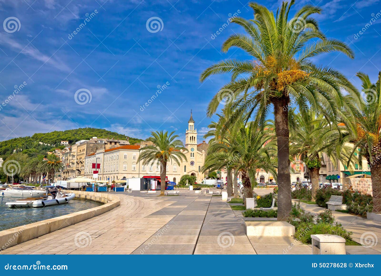 City of Split Palm Waterfront Stock Photo - Image of building, famous ...