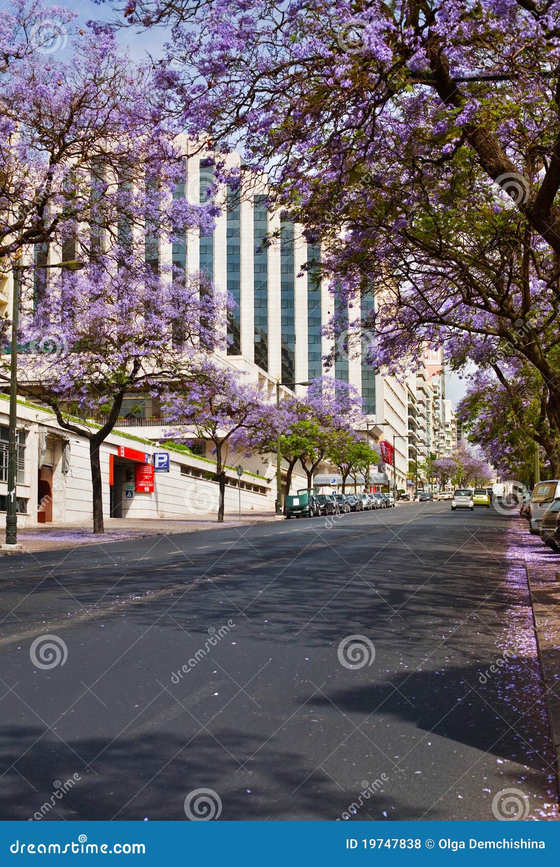 City Spring Landscape. Lisbon. Stock Photo - Image of summer, lisbon ...