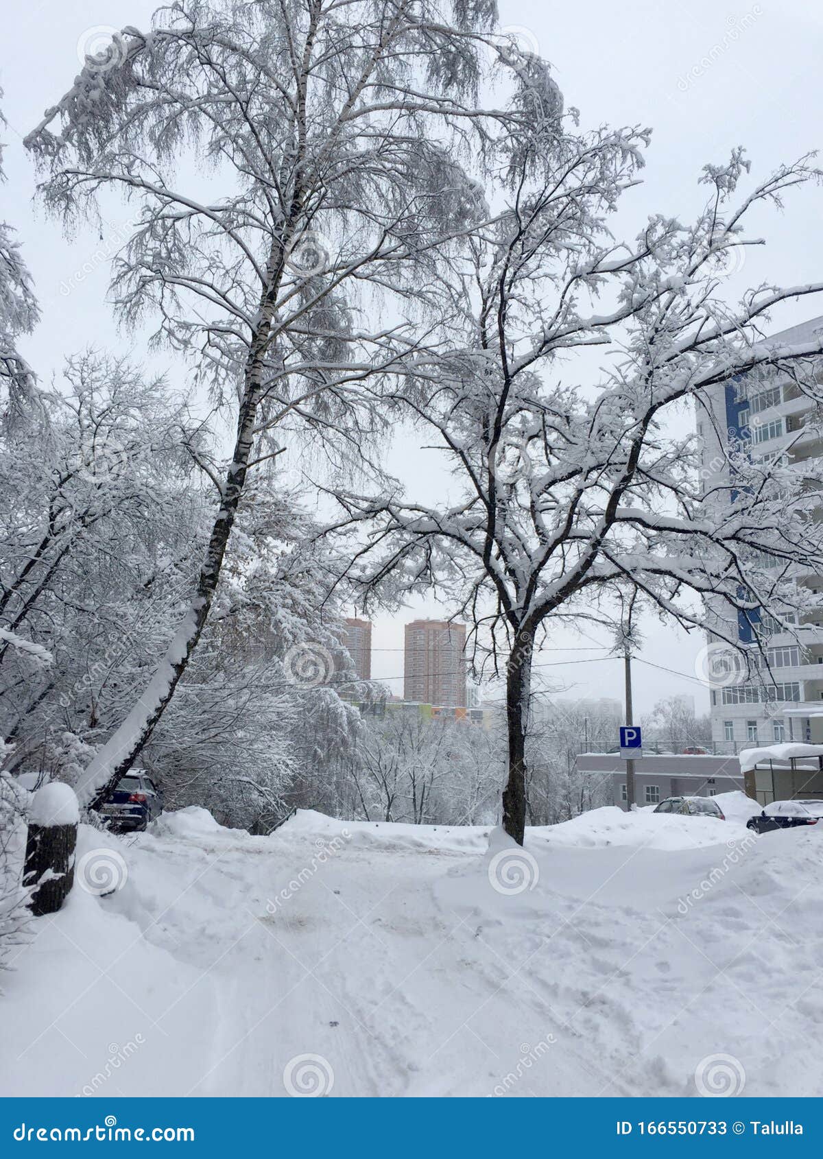 City Street Covered in Deep Snow on a Winter Day Stock Image - Image of ...