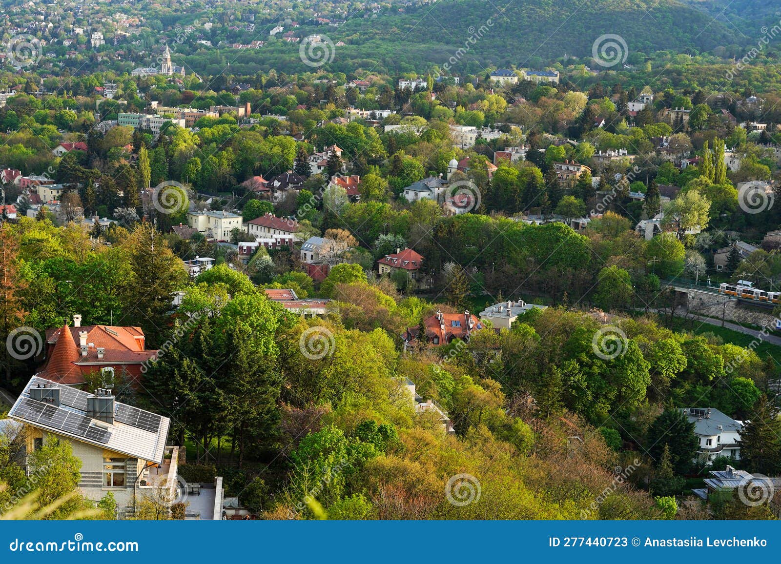 City in Summer with Sunset Light Effect Backgrounds, City in Green ...