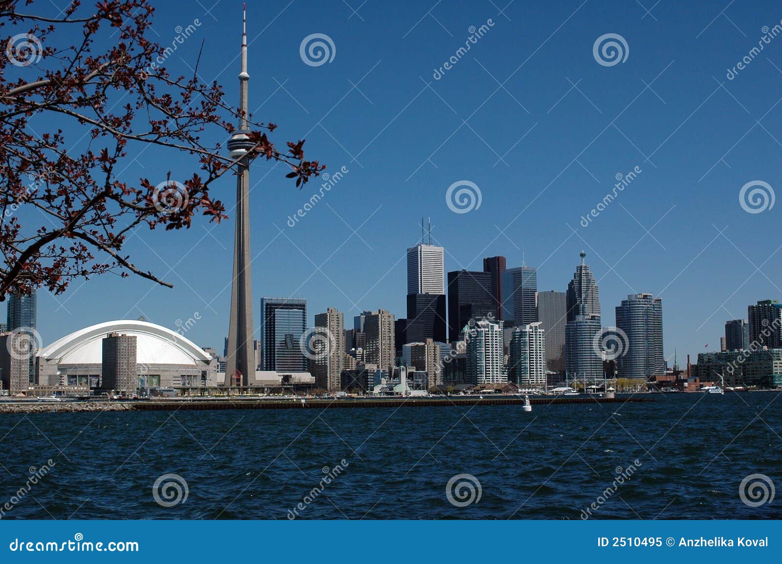 City of Toronto Amazing Skyline Stock Image - Image of antenna, high ...