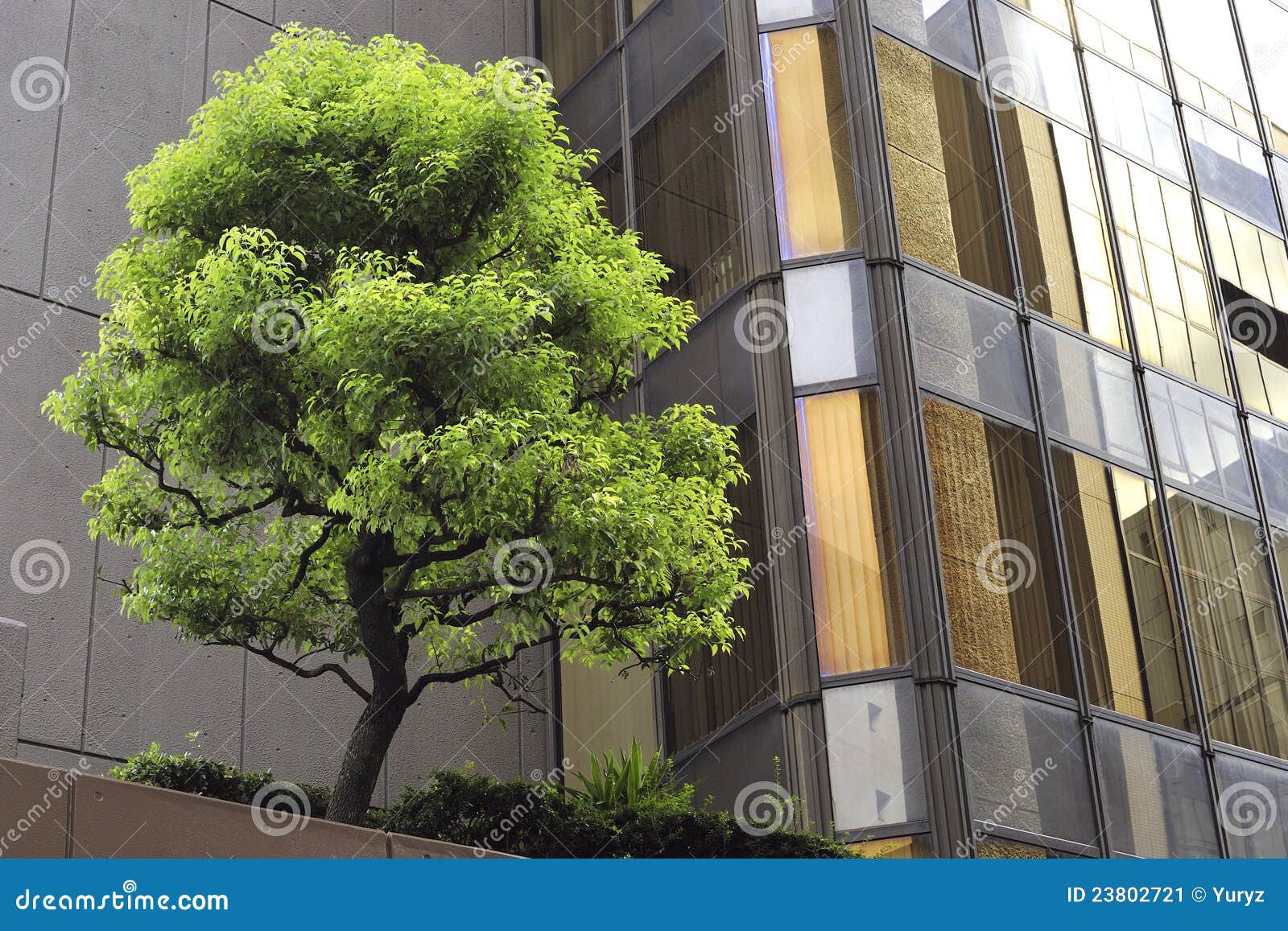8,920 Modern Terrace Tree Stock Photos - Free & Royalty-Free Stock ...