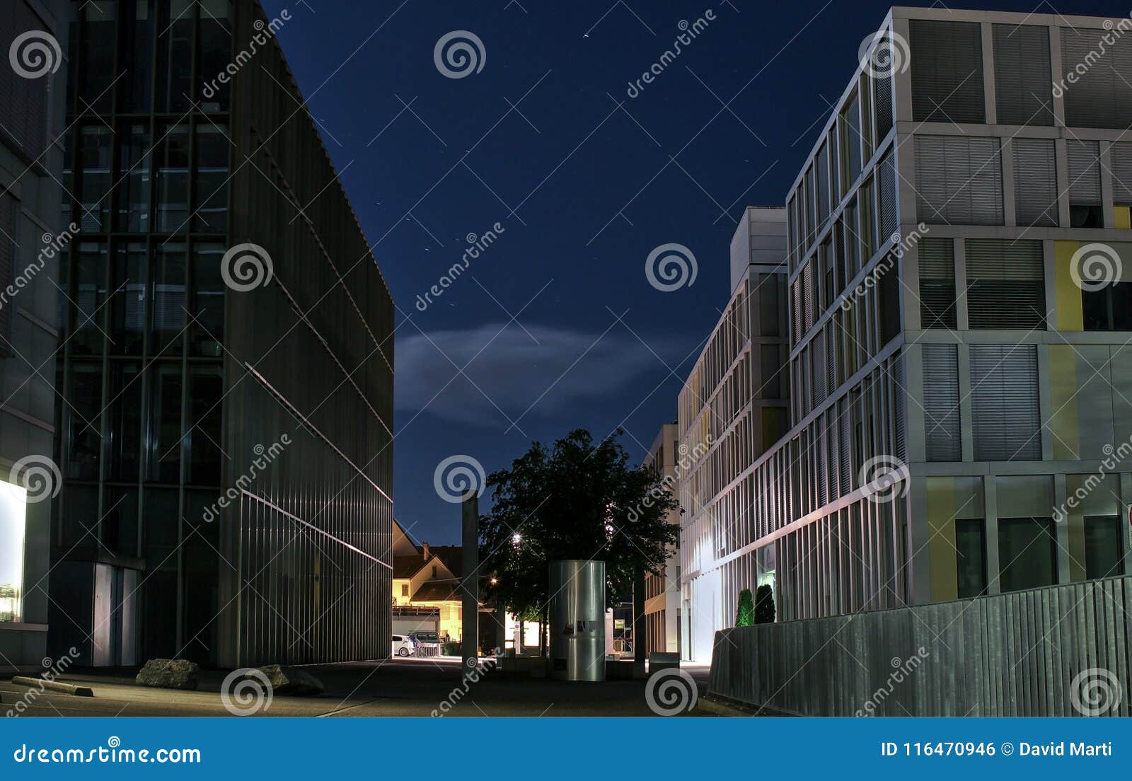 City Tree at Night stock photo. Image of growing, building - 116470946