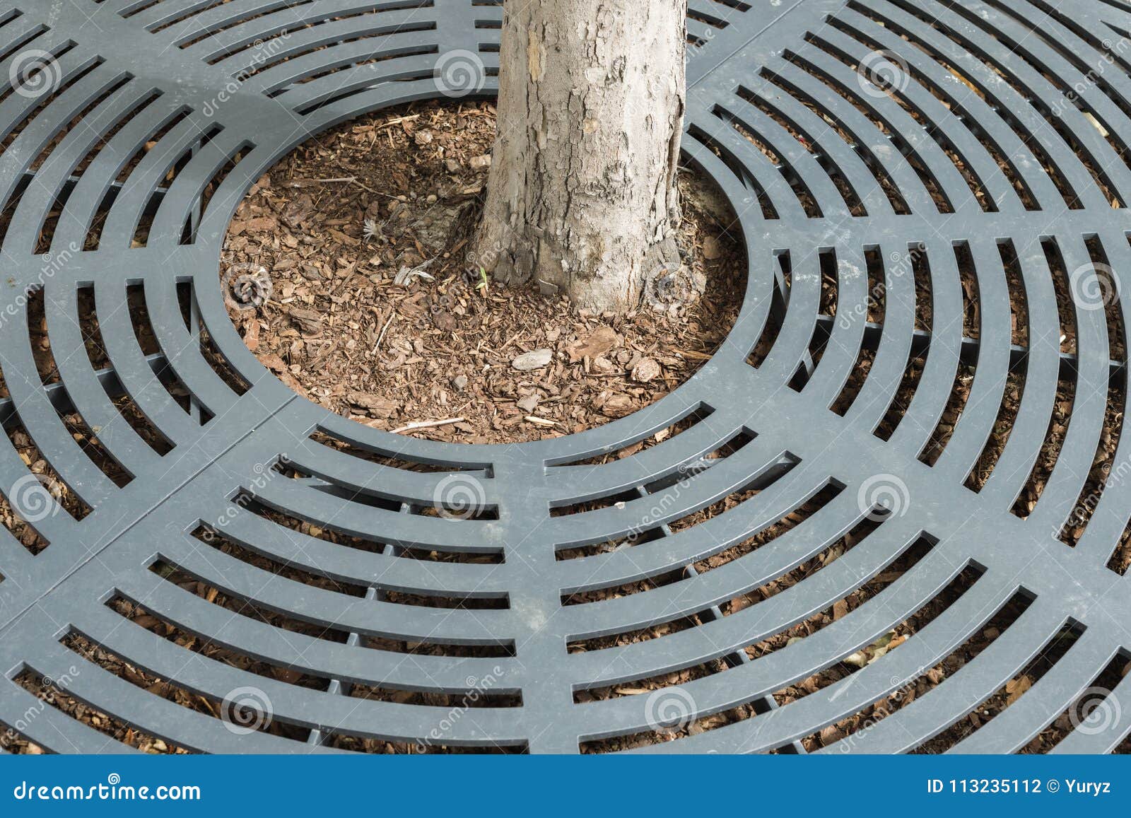 City tree protection stock photo. Image of culture, circle - 113235112