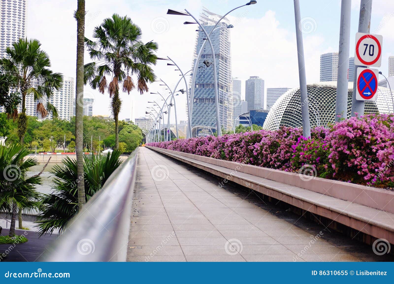 City vibes editorial image. Image of city, trees, path - 86310655