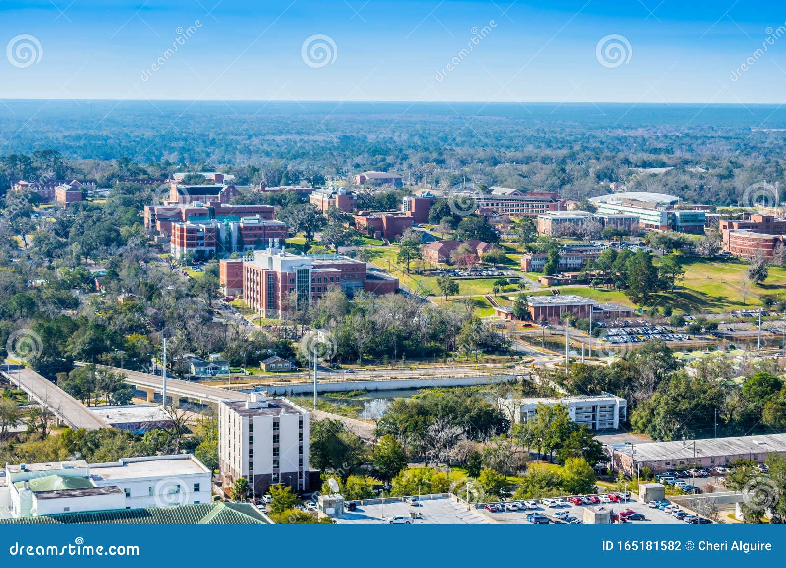 City View From Inside The Old Capital Of Tallahassee Florida Editorial
