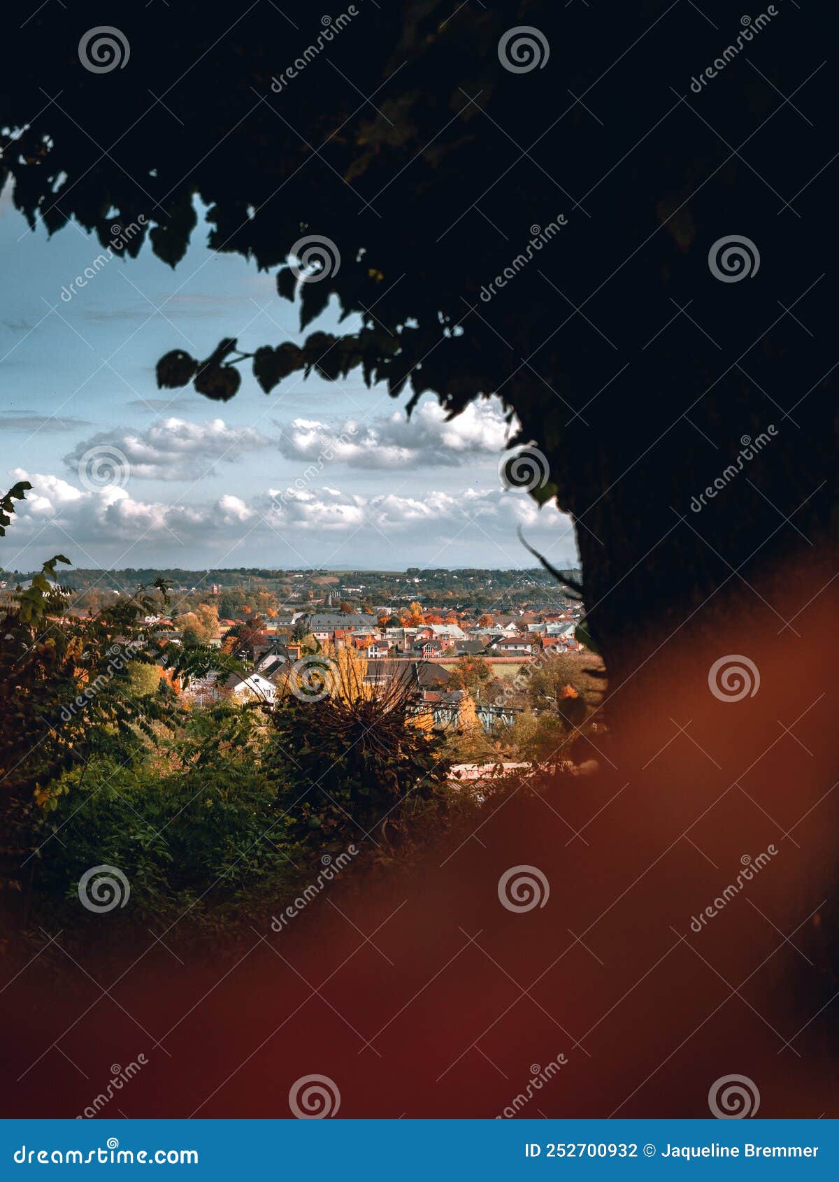 City view from the park stock photo. Image of october - 252700932