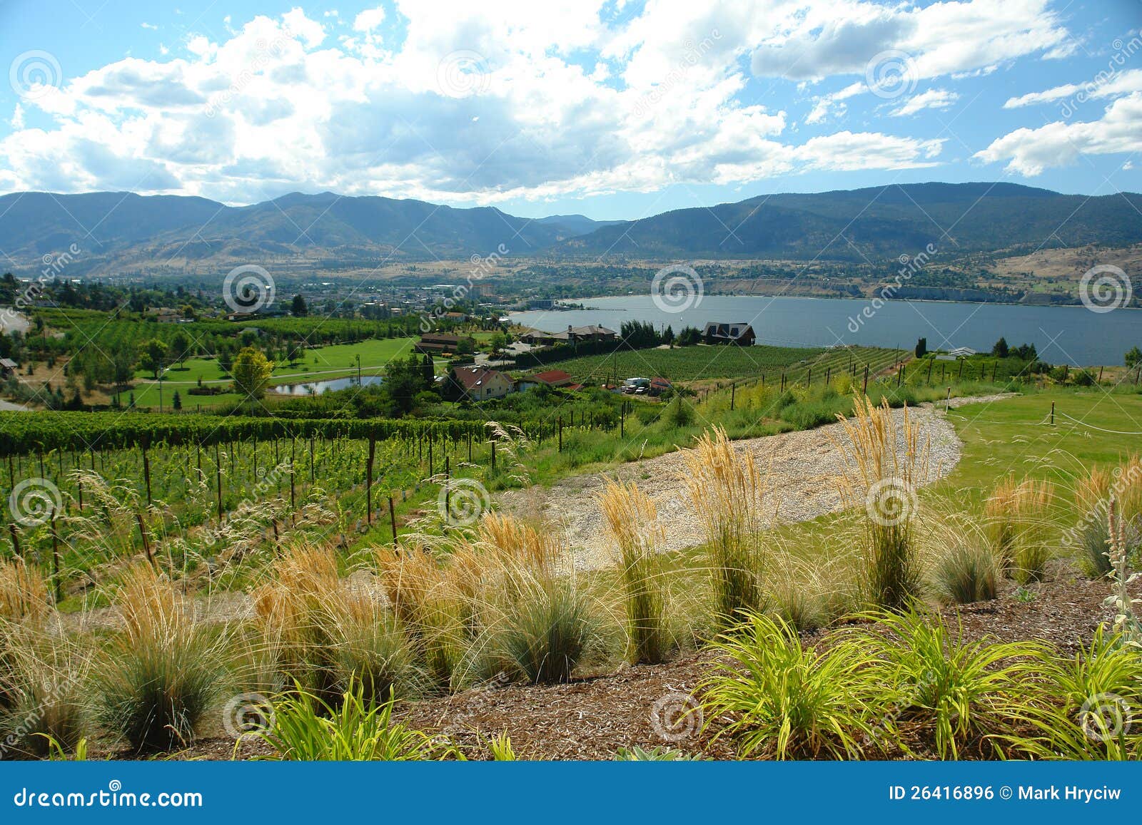 City View of Penticton British Columbia Stock Photo - Image of ...