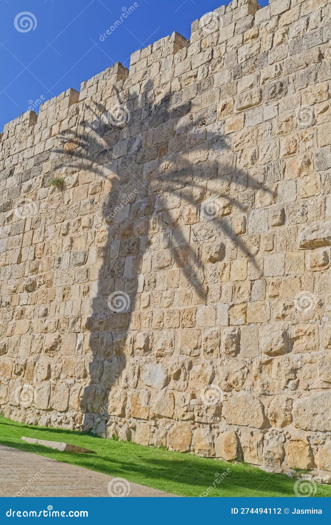 City Walls with Palm Tree Shadow in Jerusalem Israel Stock Photo ...