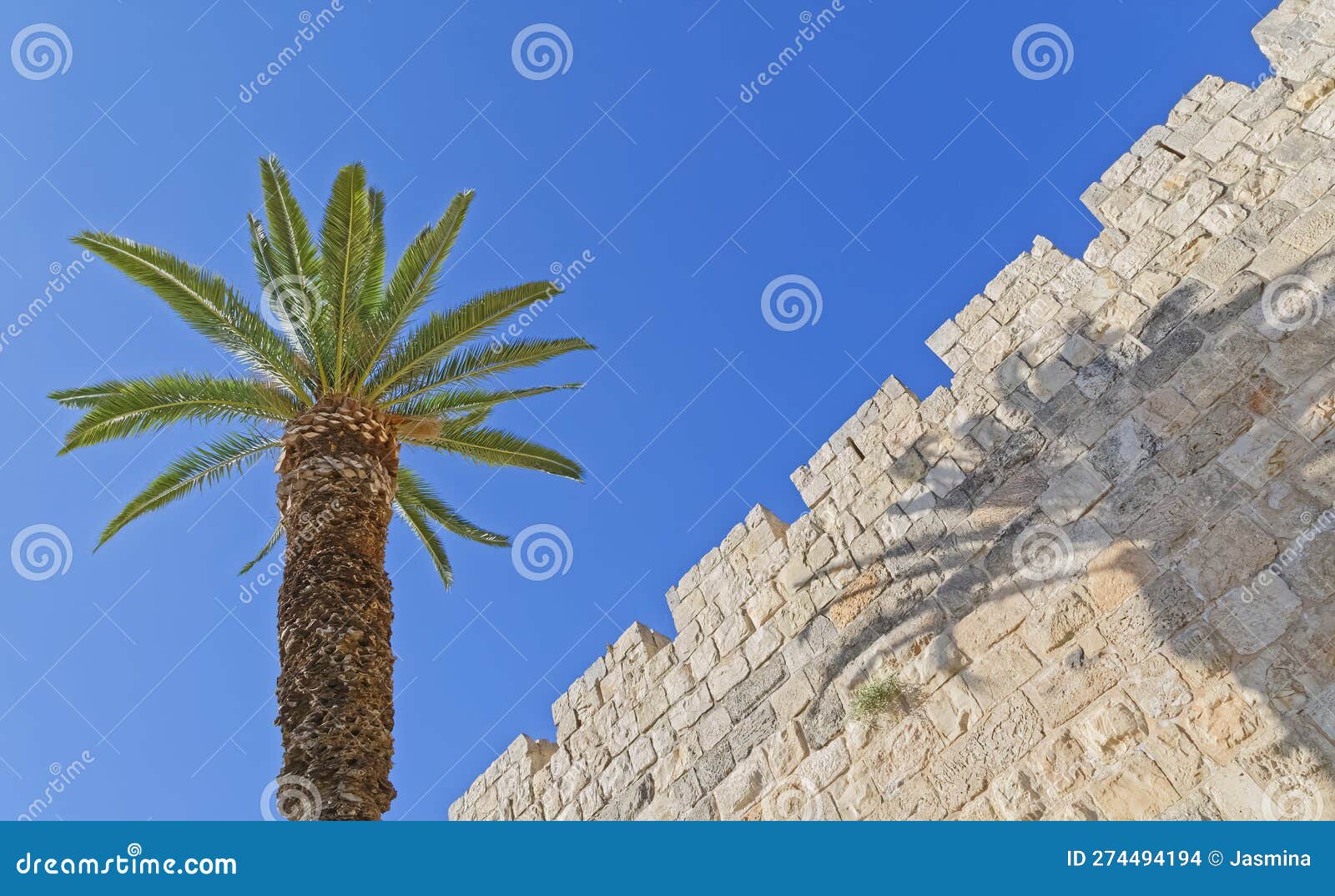City Walls with Palm Tree Shadow in Jerusalem Israel Stock Photo ...