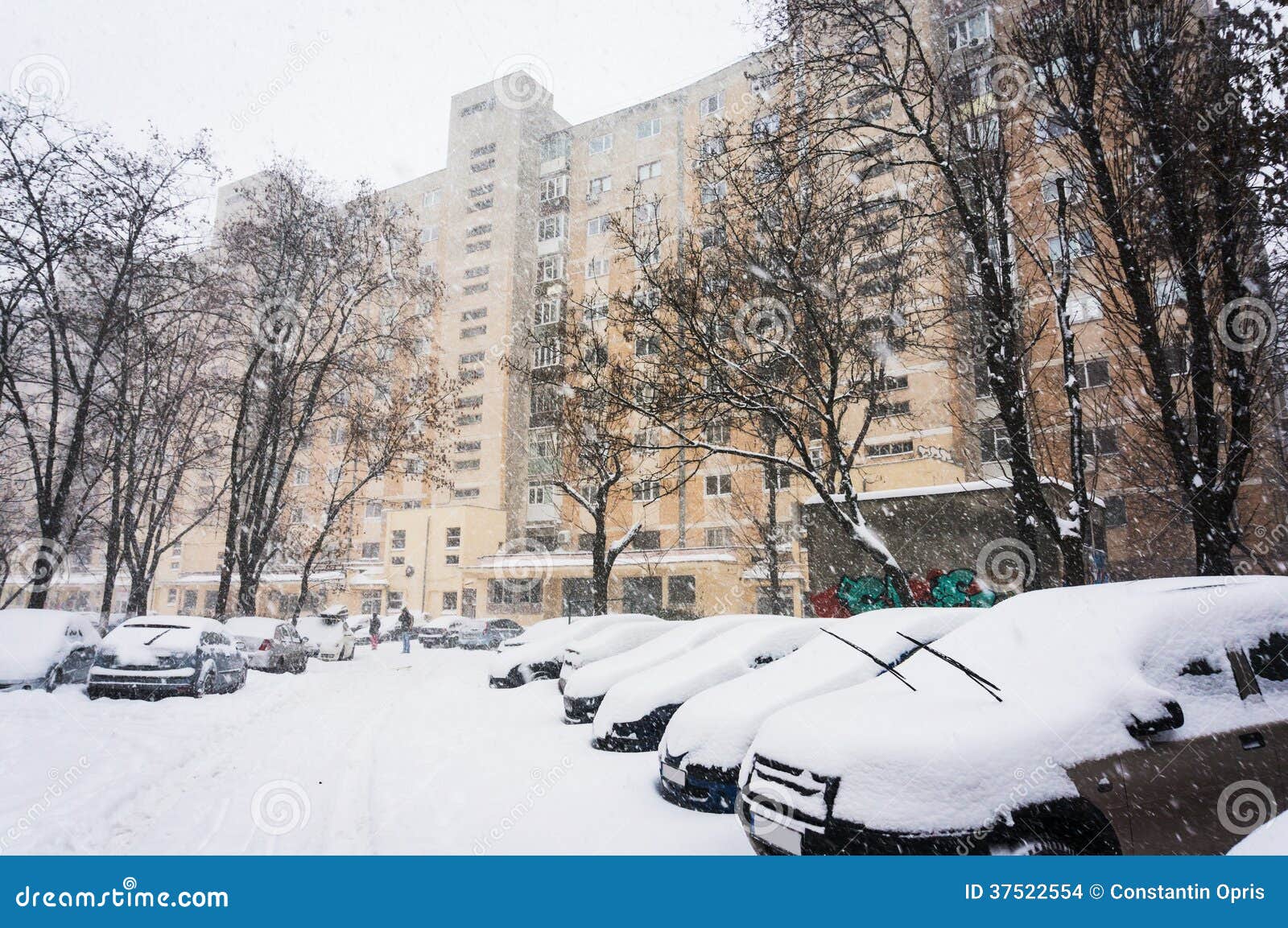 City winter scene stock photo. Image of snowstorm, falling - 37522554