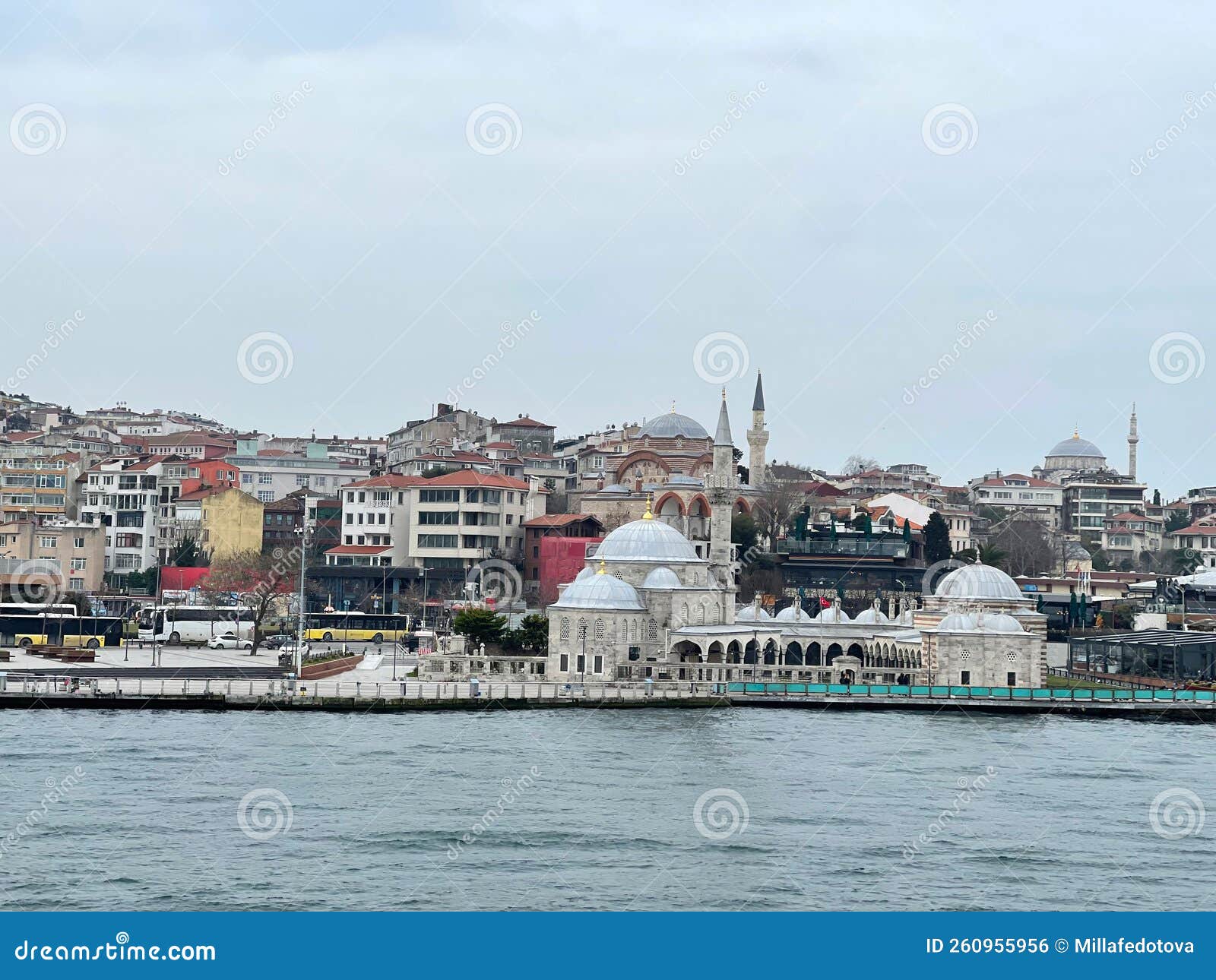 Cityscape of Istanbul, Turkey in a Beautiful Spring Day Editorial Photo ...