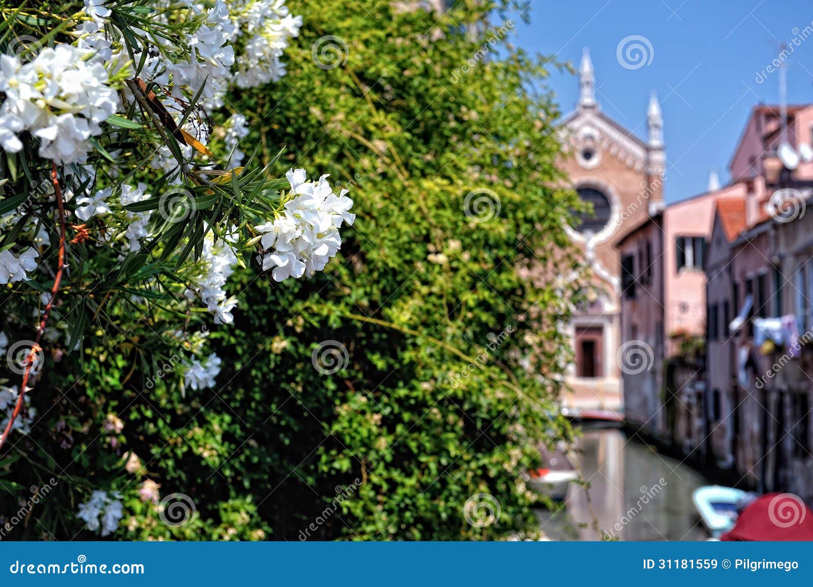 Cityscape of Venice. stock image. Image of architecture - 31181559