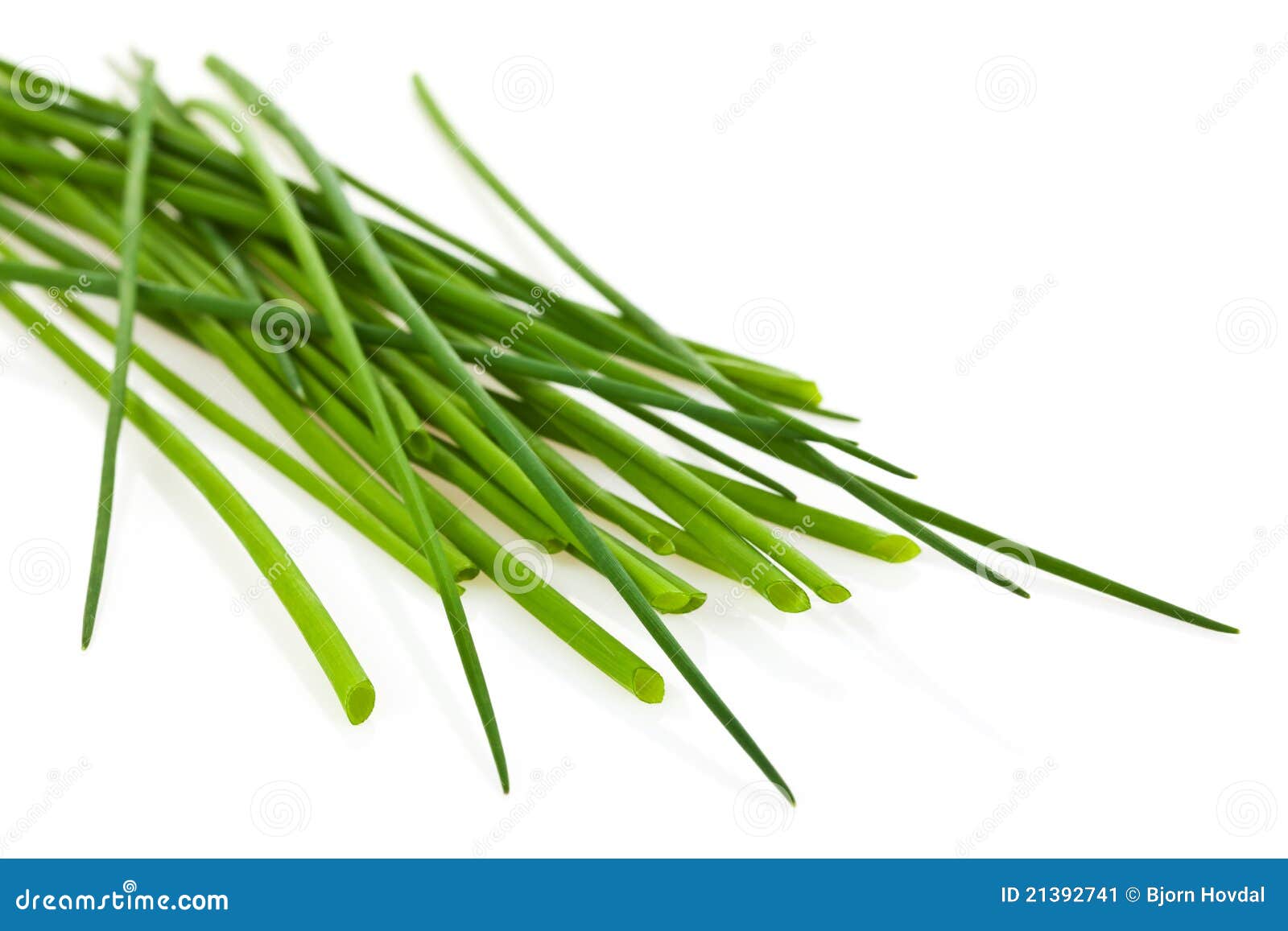 Cives Image stock - Image: 21392741