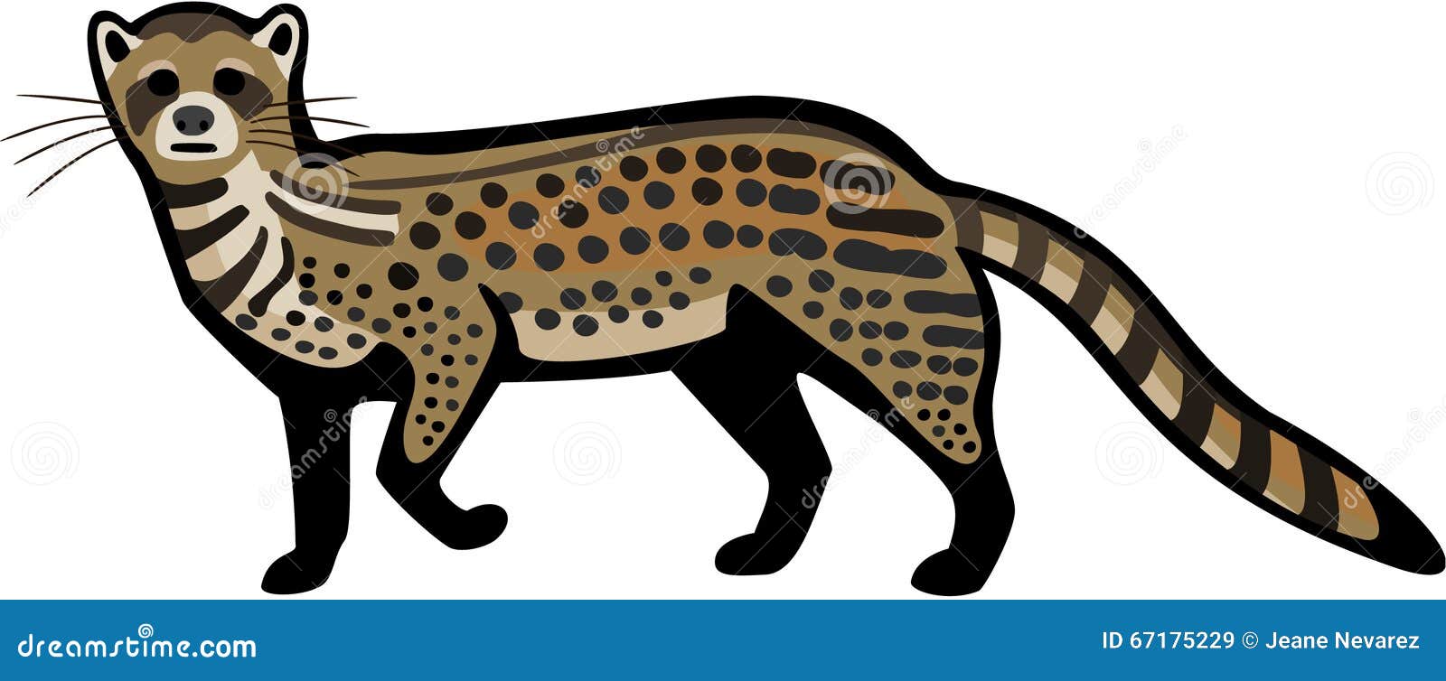 Civet Cartoons, Illustrations & Vector Stock Images - 898 Pictures to ...