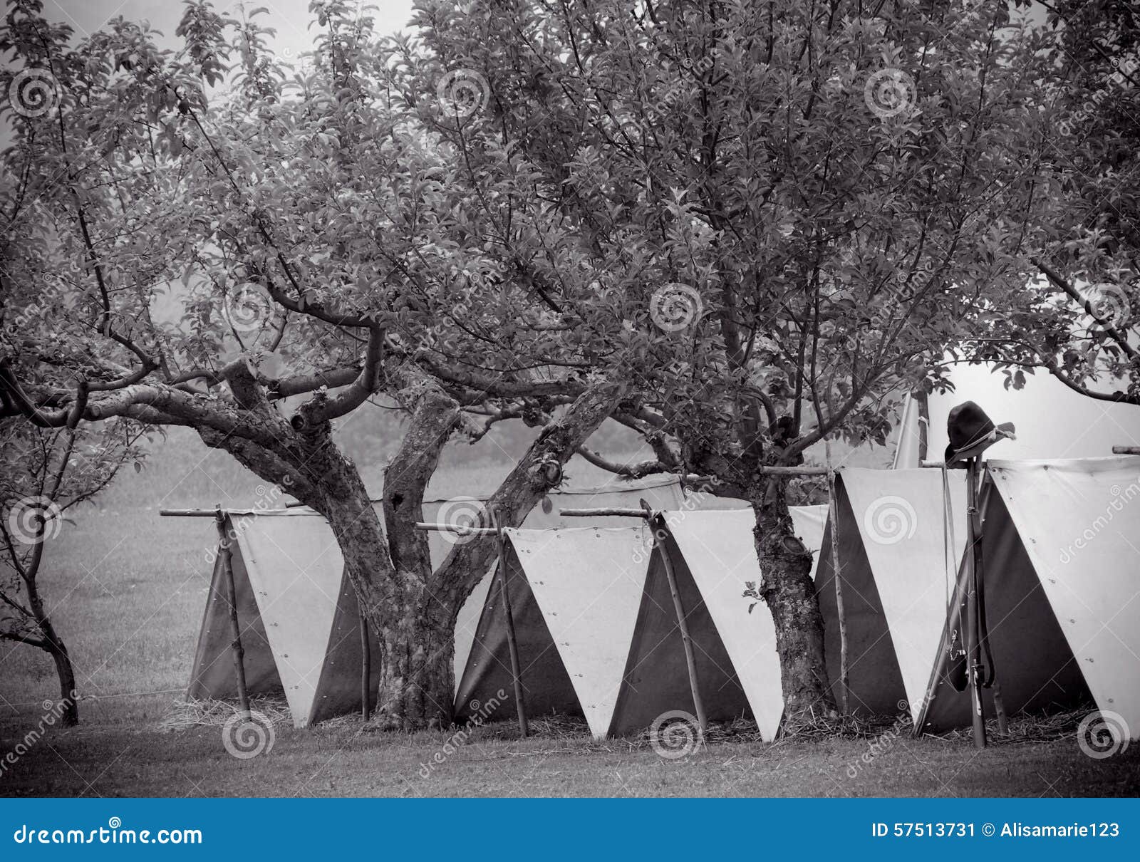 Civil War Tents stock image. Image of tents, fight, serenity - 57513731