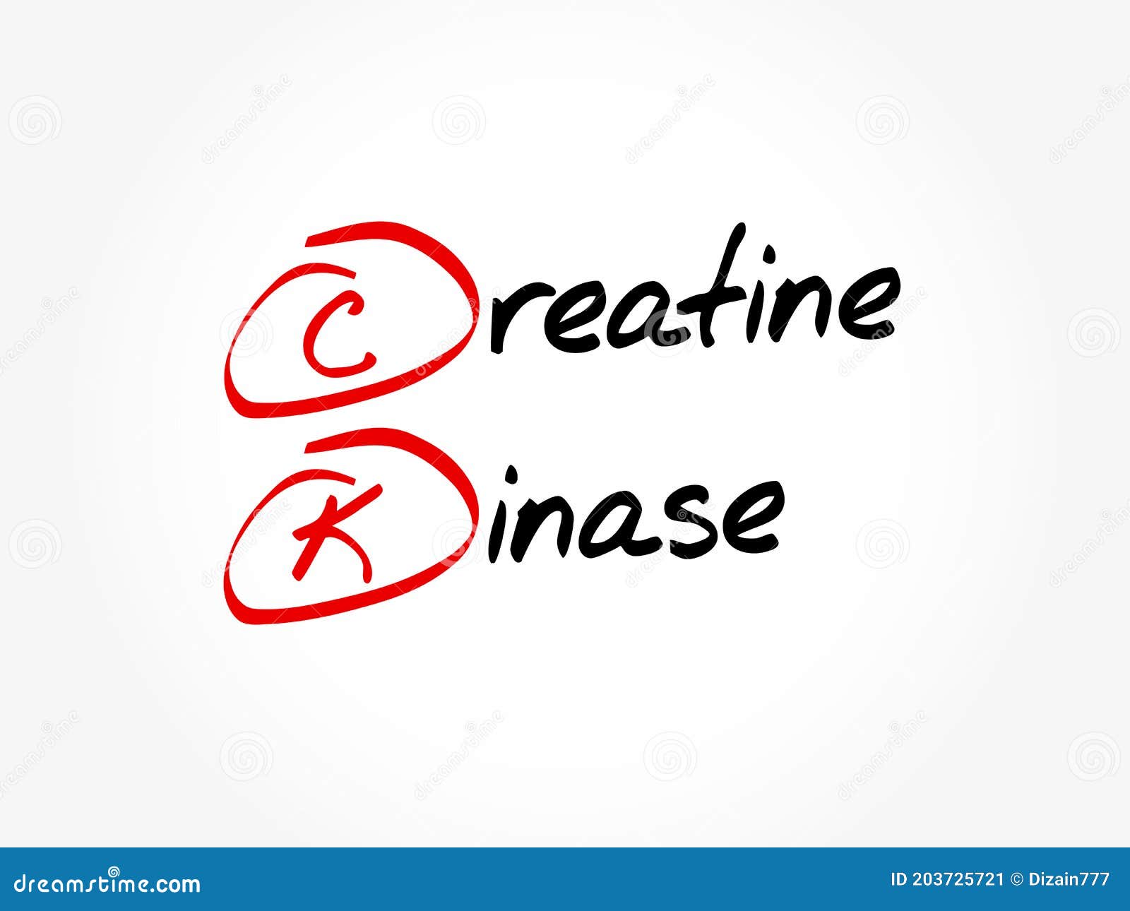 Creatine Kinase Muscle Type And Brain Type Enzyme In The Blood Flow ...