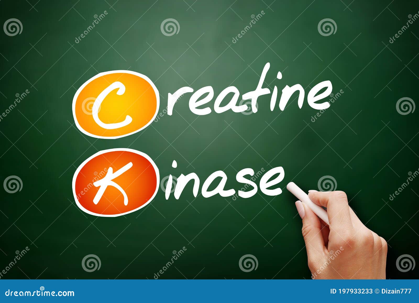 CK Creatine Kinase - Enzyme Expressed By Various Tissues And Cell Types ...