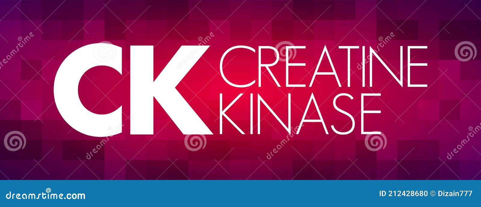 CK Creatine Kinase - Enzyme Expressed By Various Tissues And Cell Types ...