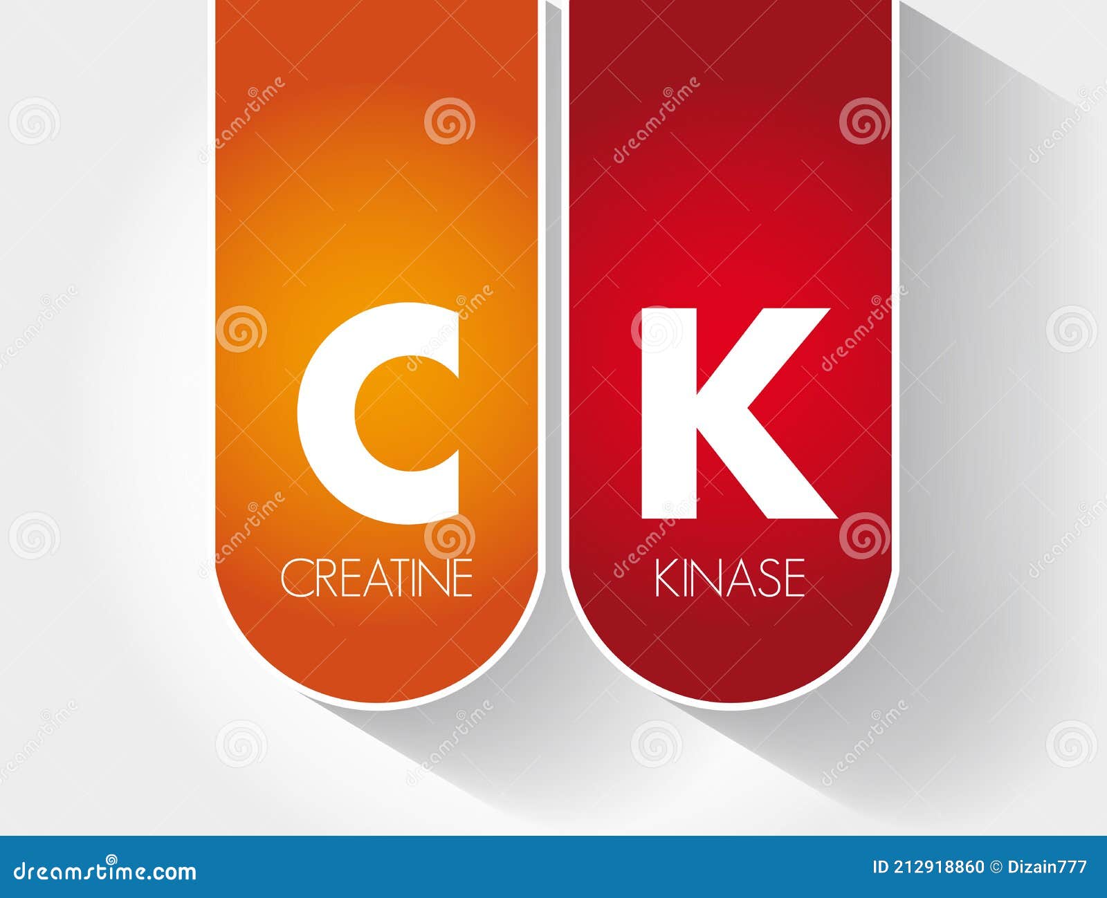 Creatine Kinase Muscle Type And Brain Type Enzyme In The Blood Flow ...
