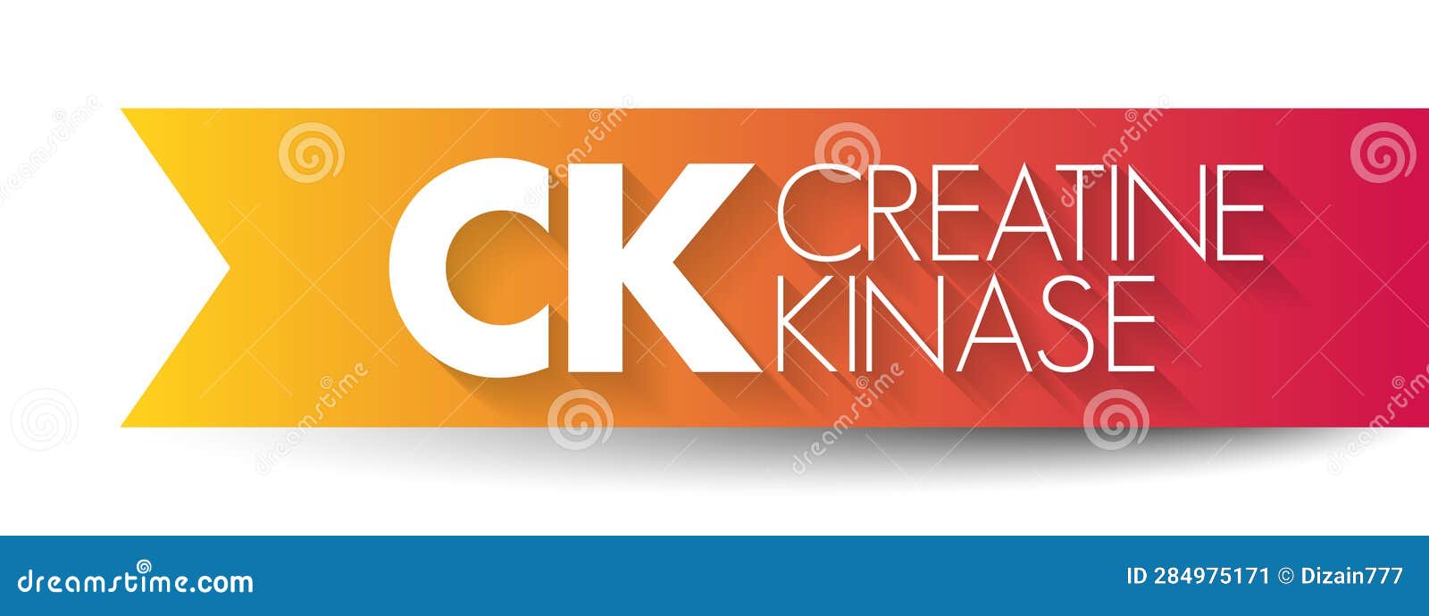 Creatine Kinase Muscle Type And Brain Type Enzyme In The Blood Flow ...