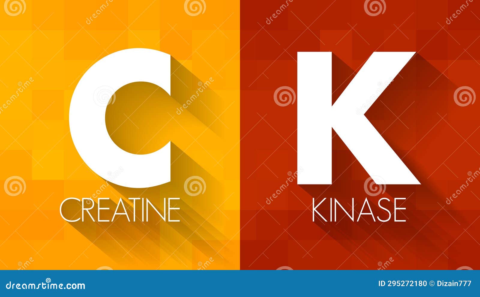 Ck Creatine Kinase Enzyme Expressed By Various Tissues And Cell Types