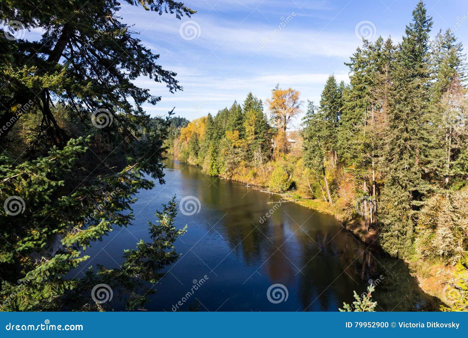 Clackamas river stock photo. Image of tourism, landscape - 79952900