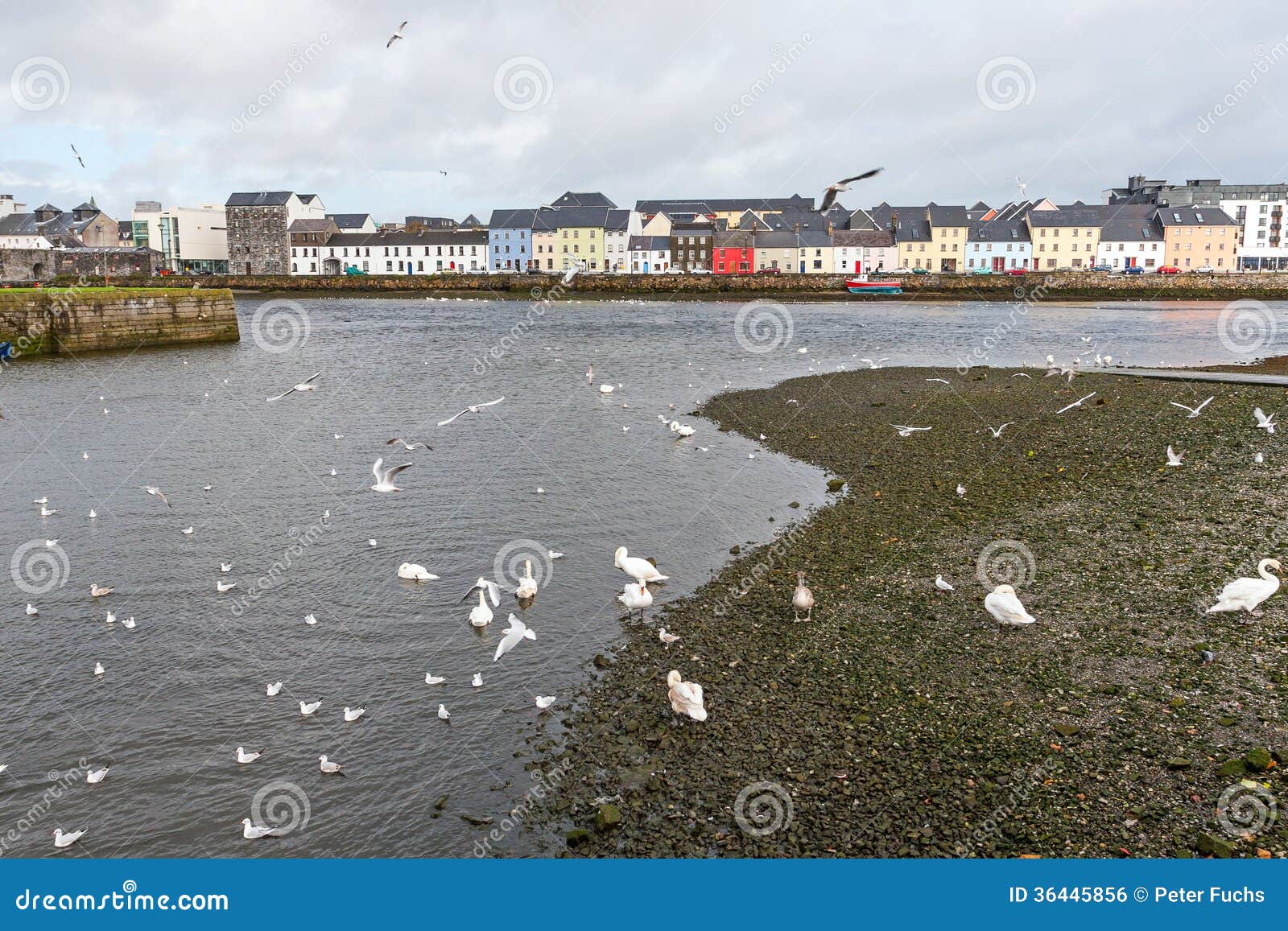 Claddagh stock photo. Image of blue, corrib, eire, fishingboat - 36445856