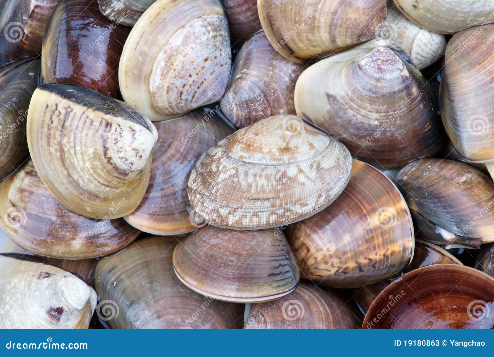 Background stock image. Image of live, sector, brown - 19180863