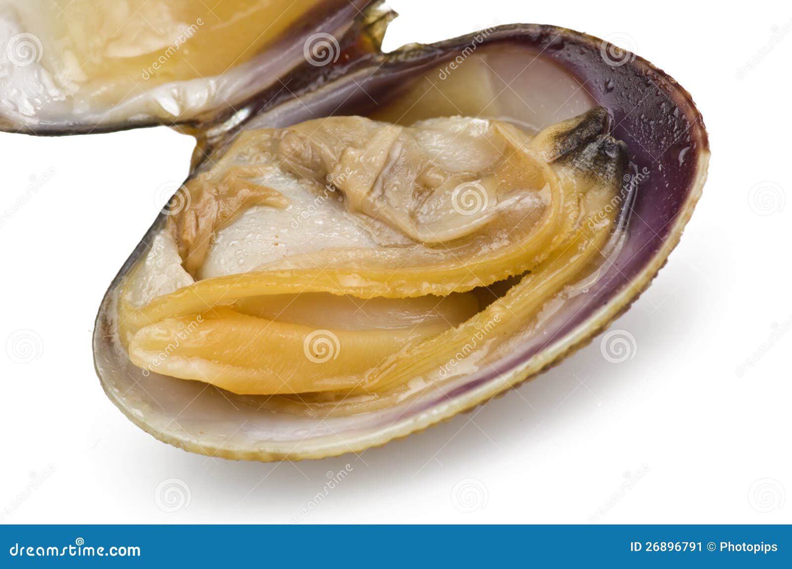 Open Stock Image - Image: 26896791