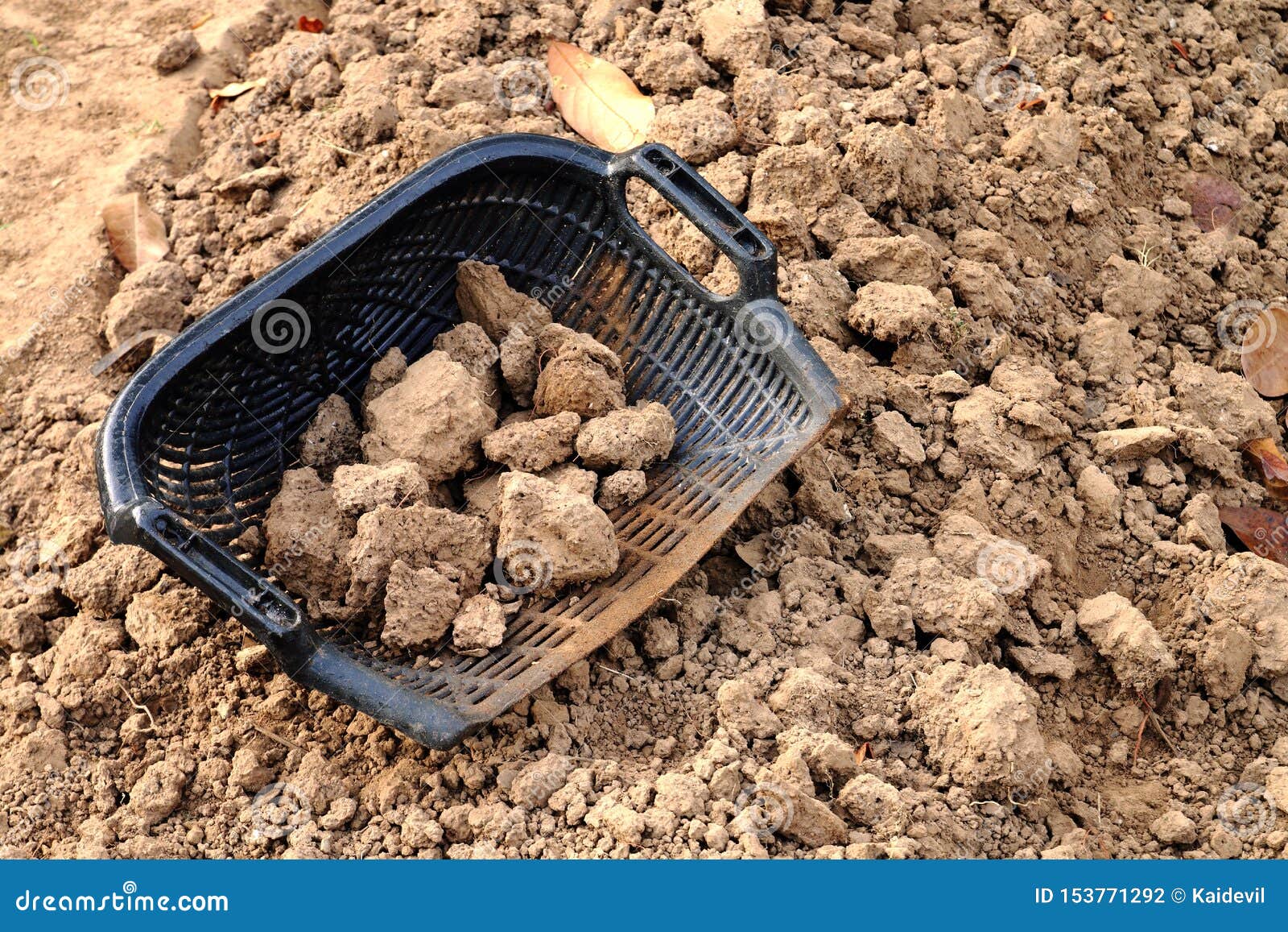 Clam-shell Shaped Basket with Soil Stock Photo - Image of dirty, black ...