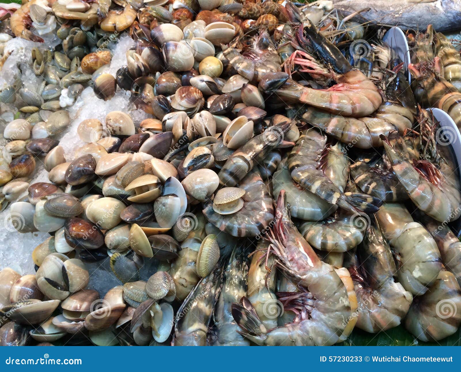 Shell Shrimp Seafood Market with Ice Stock Image - Image of claw ...