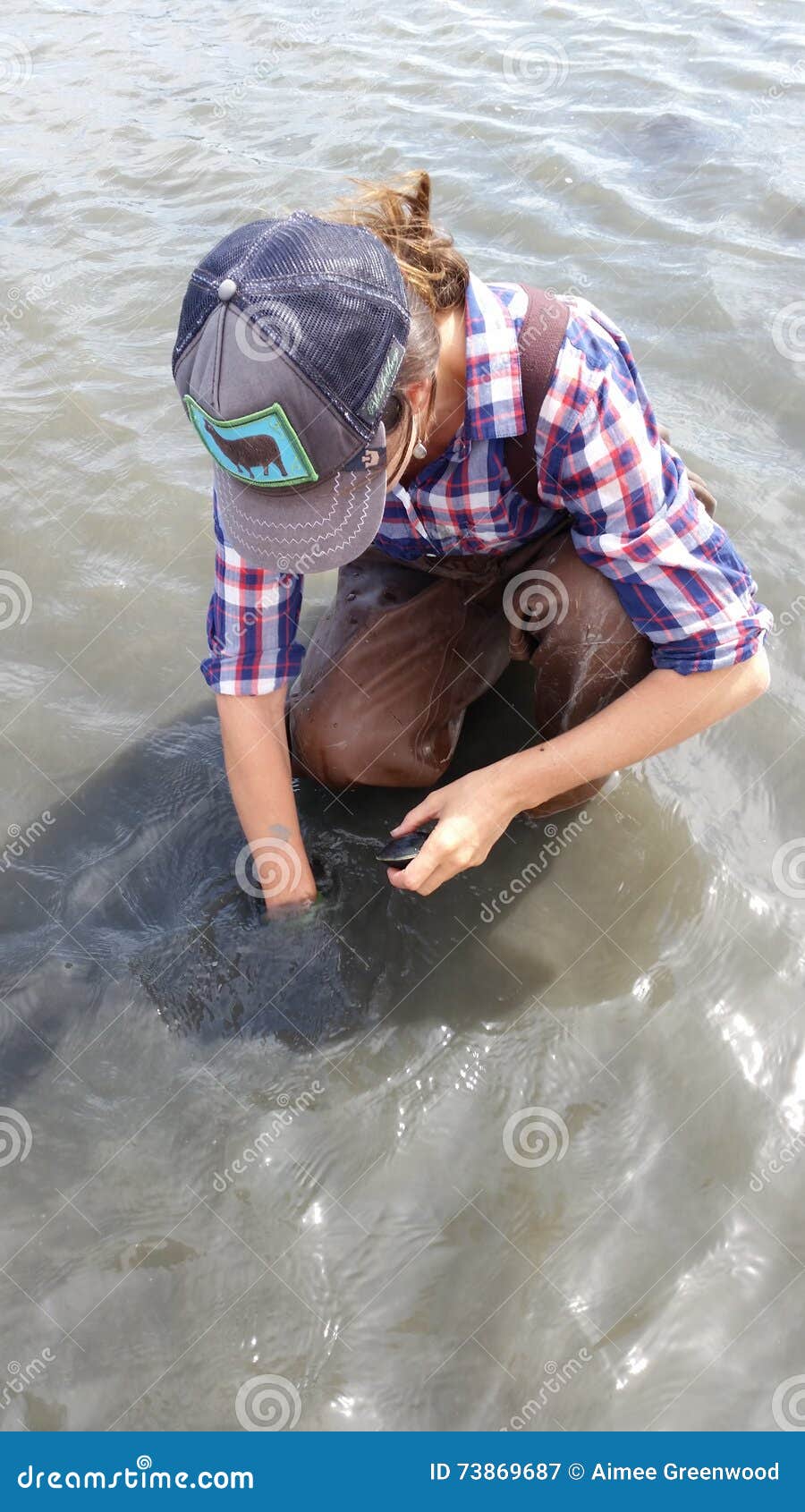 Clamming in Long Island Sound Editorial Photography - Image of summer ...