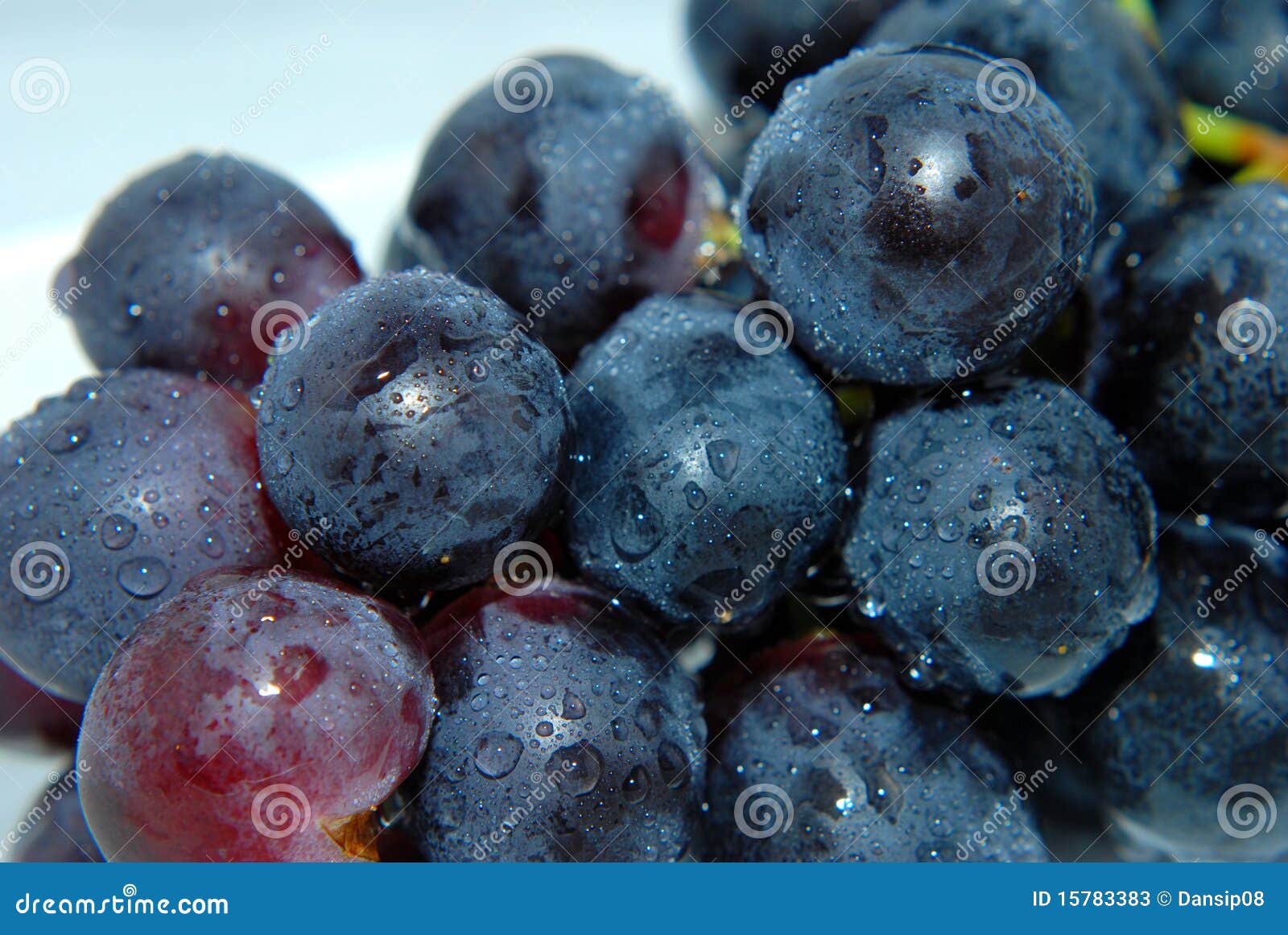 Clammy grapes stock image. Image of isolated, clusters - 15783383