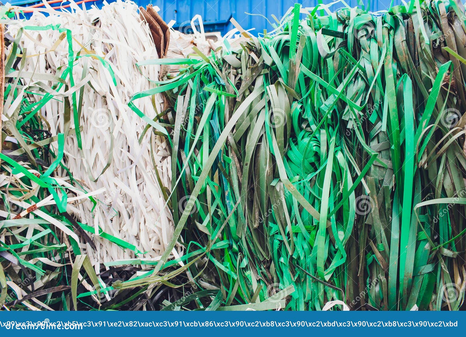 Clamp Plastic Screed. Tie. Waste Recycling Press. Stock Photo - Image ...