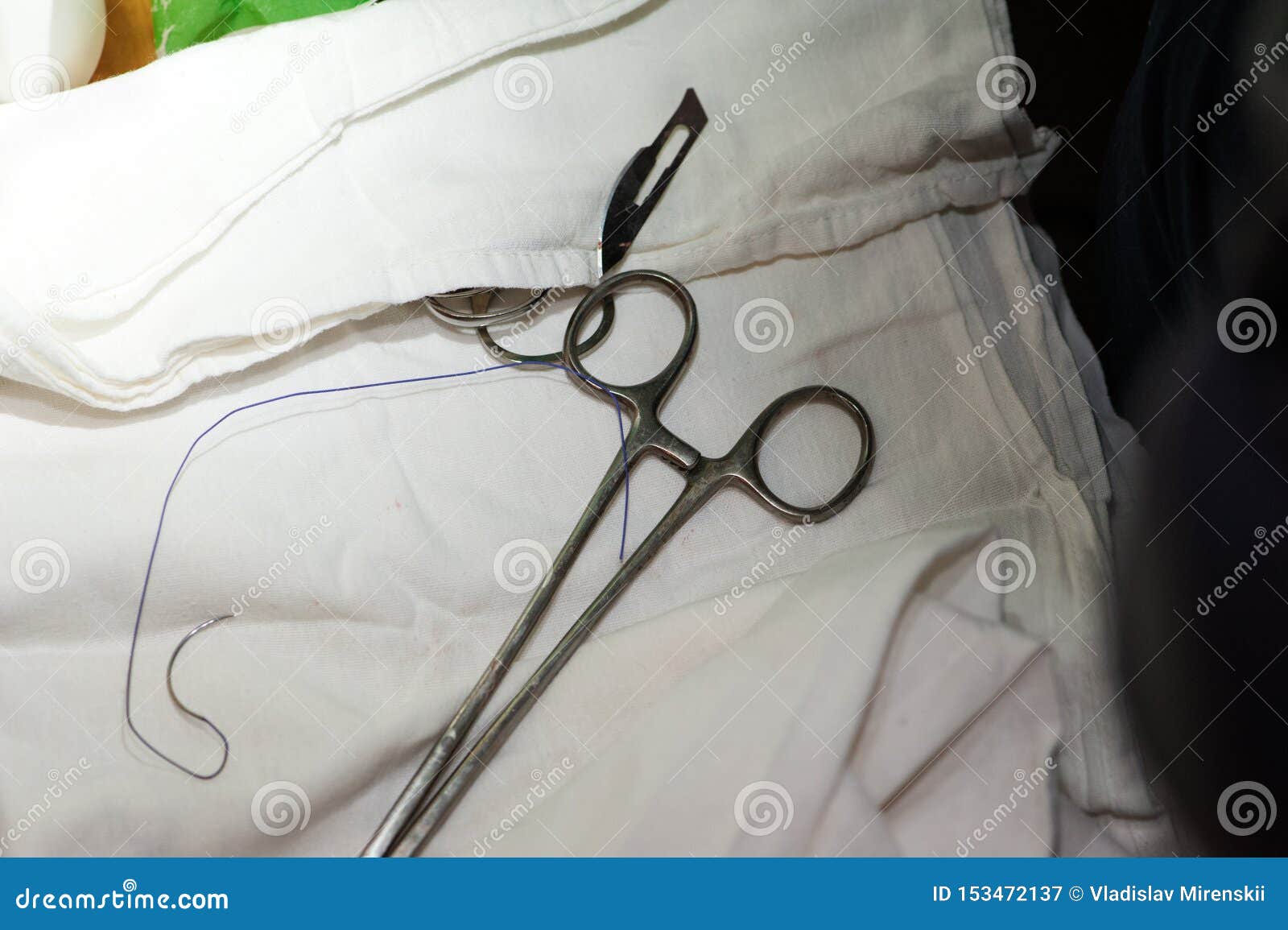 Clamp Scalpel and Needle Ready for Castration Stock Image - Image of ...