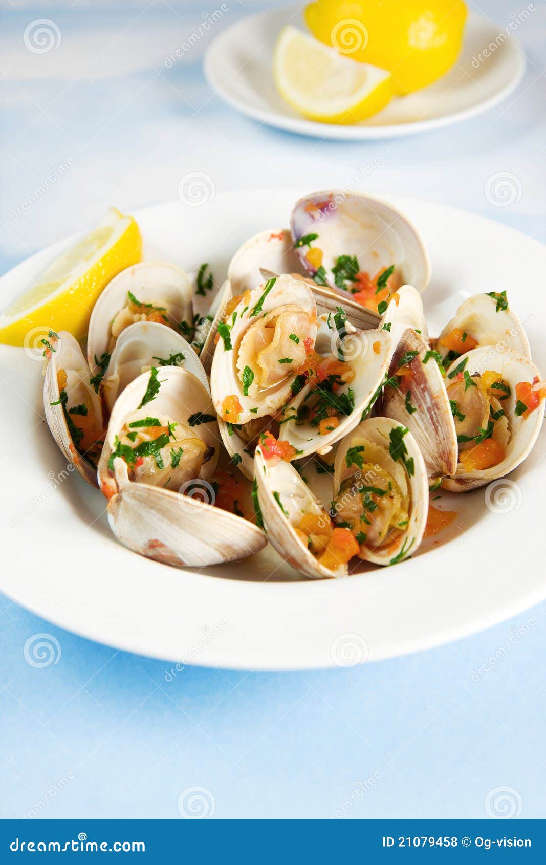 Clams stock photo. Image of tomato, plate, seafood, vegetable - 21079458