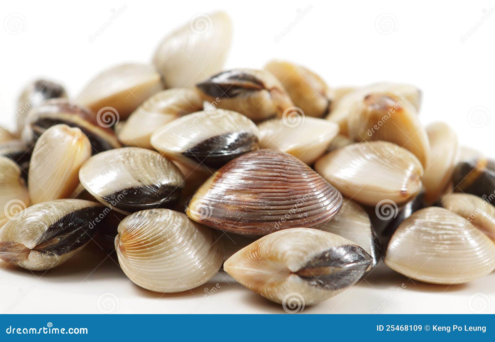 Clams stock image. Image of shell, fresh, detail, meal - 25468109