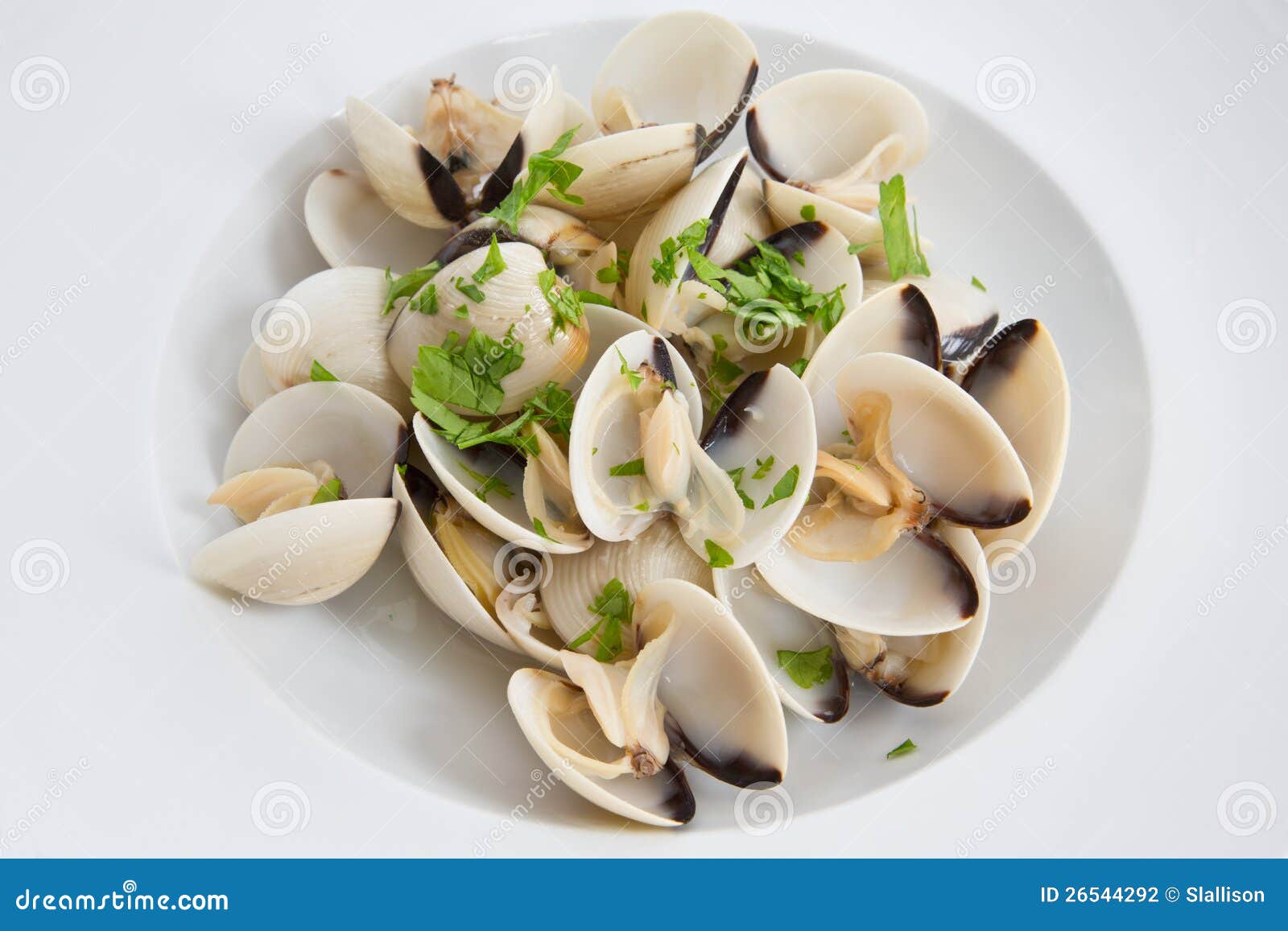 Clams stock photo. Image of seafood, food, parsley, cooked - 26544292