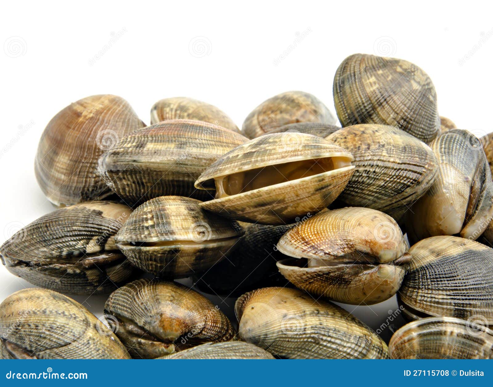 Clams stock photo. Image of healthy, background, shells - 27115708
